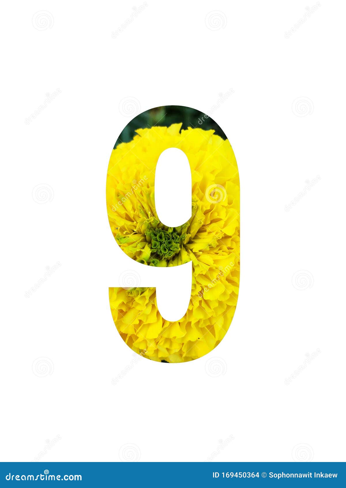 Word Card Number 9 stock photo. Image of thailand, graphic - 169450364