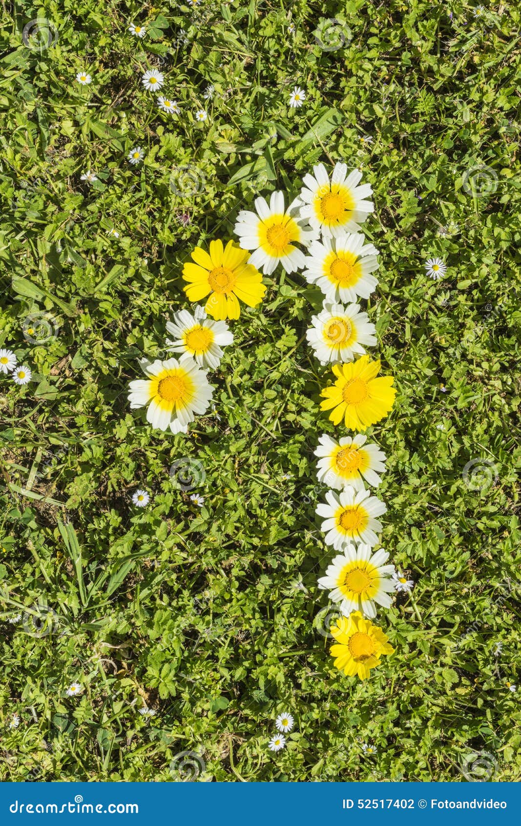 Number One from Flower Numbers Stock Photo - Image of alphabet, letters ...