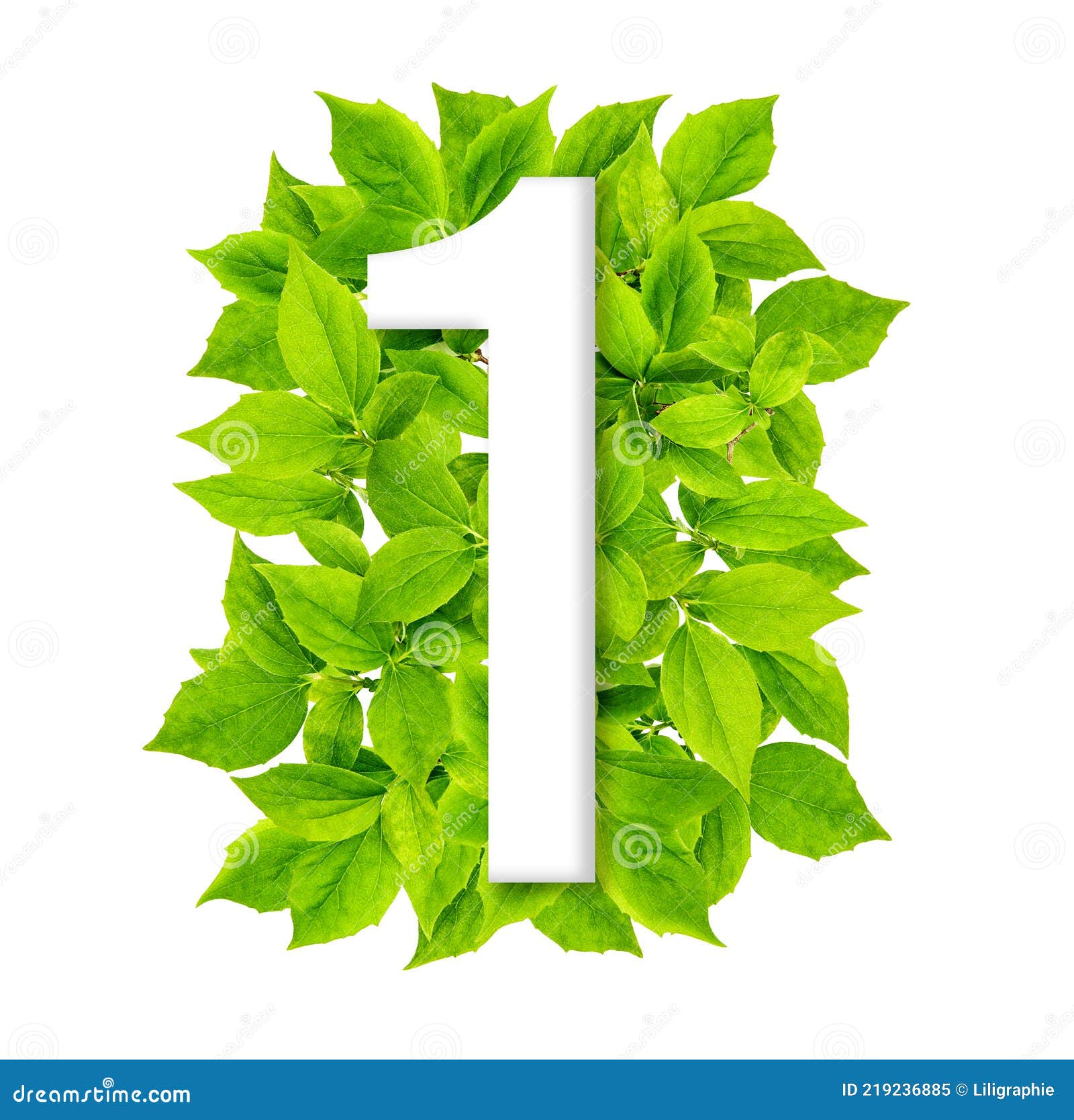 Number One Green Leaves Background. Creative Environment Concept Stock ...