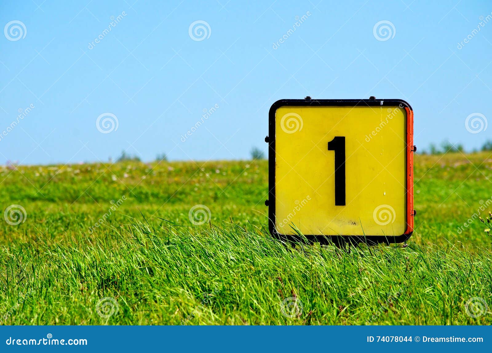 Number One stock photo. Image of grass, field, yellow - 74078044