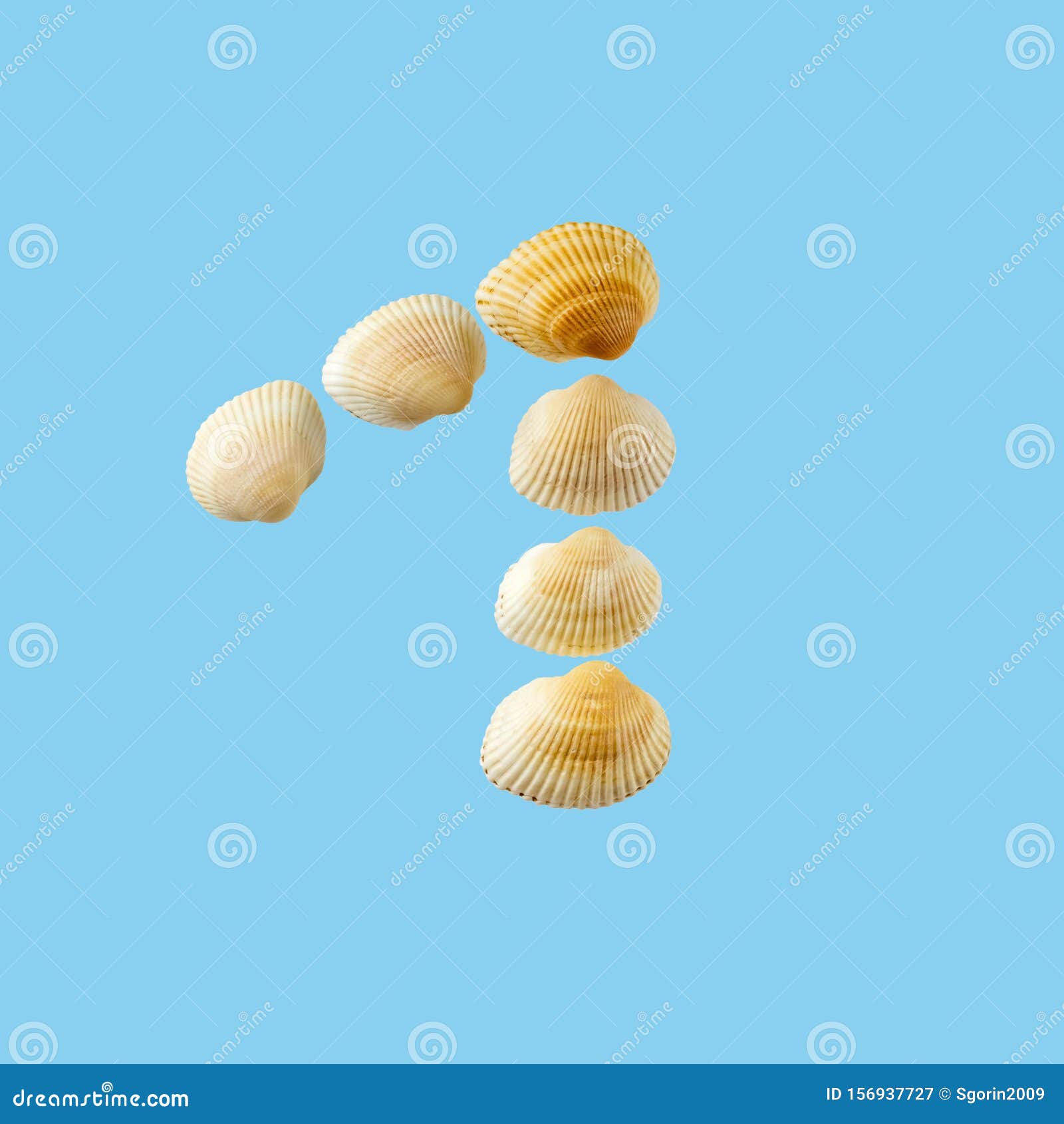 Number One from Sea Shells Isolated on Tender Light Blue Background ...