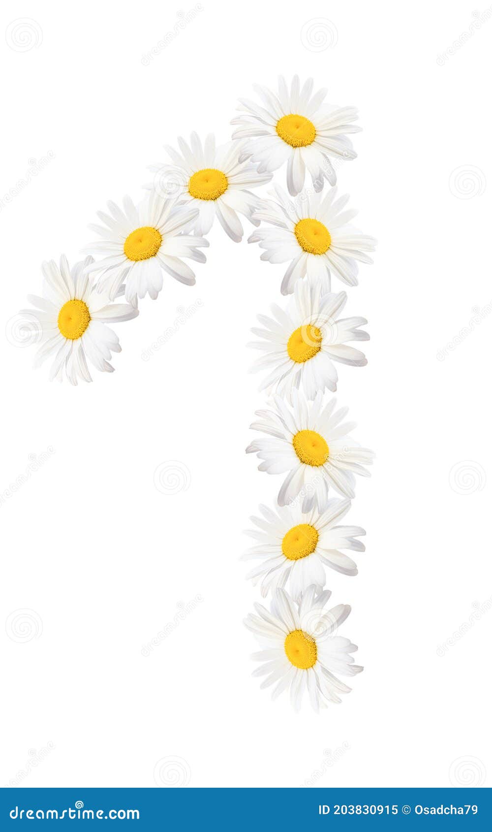 Number One with White Daisies. Numbers on the Calendar Stock Image ...