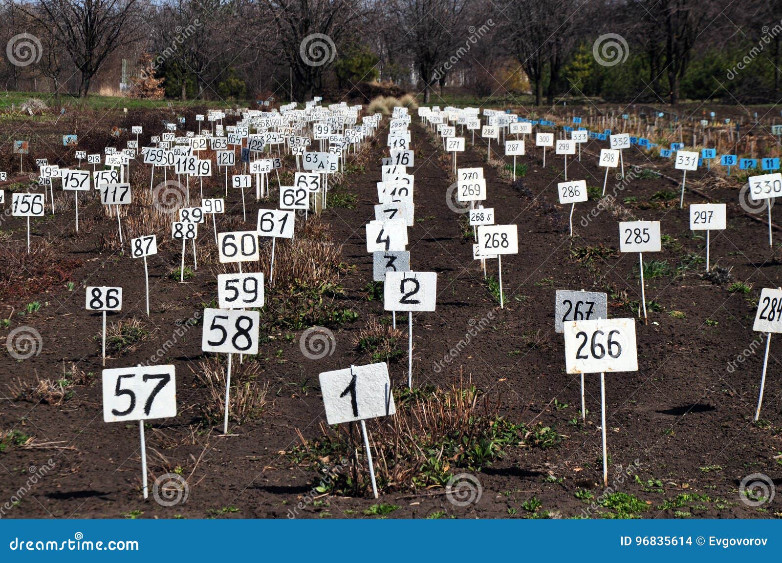 Number plates on the field stock photo. Image of farm - 96835614
