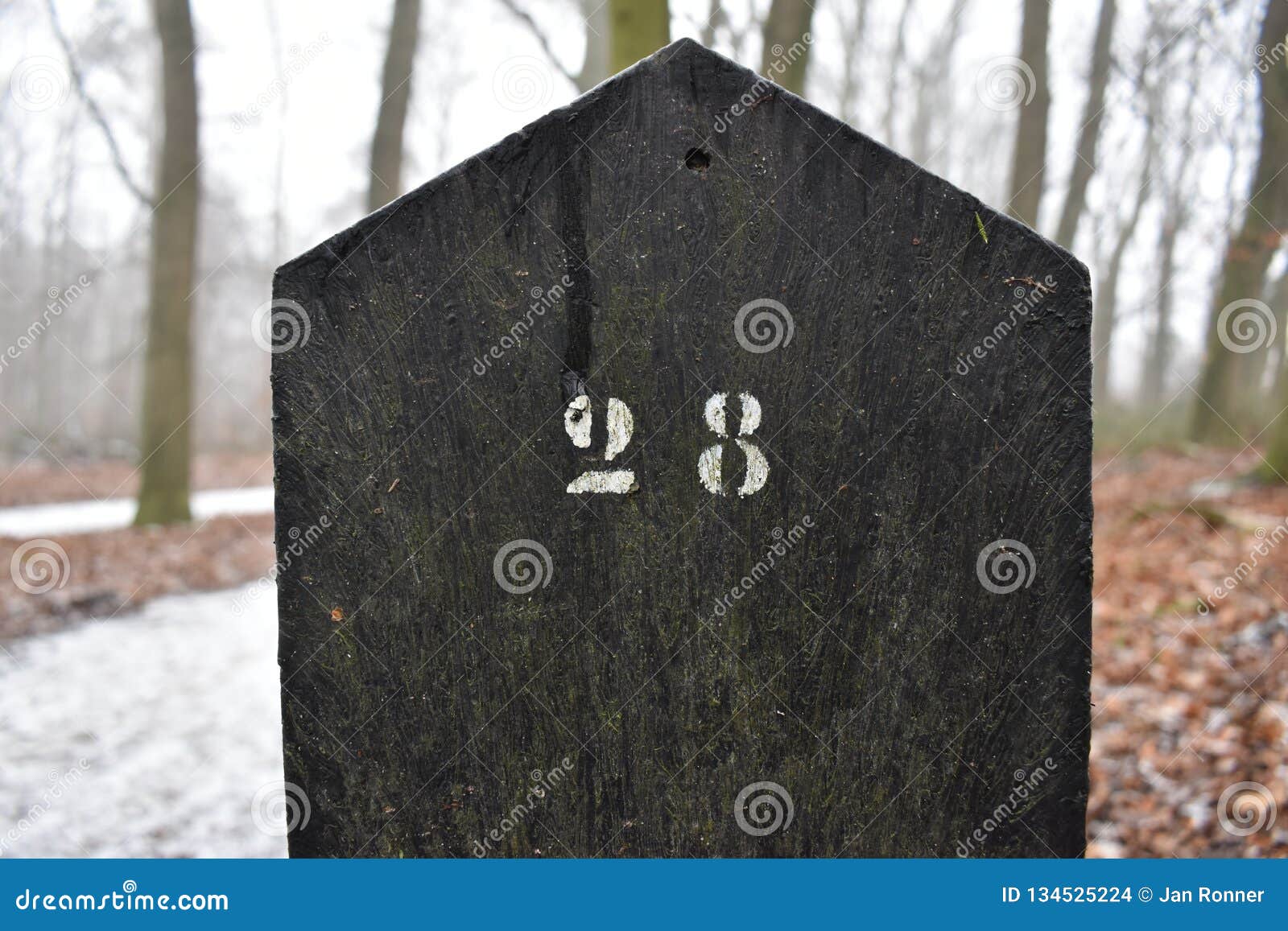 Number 28 on a pole stock photo. Image of tree, forest - 134525224