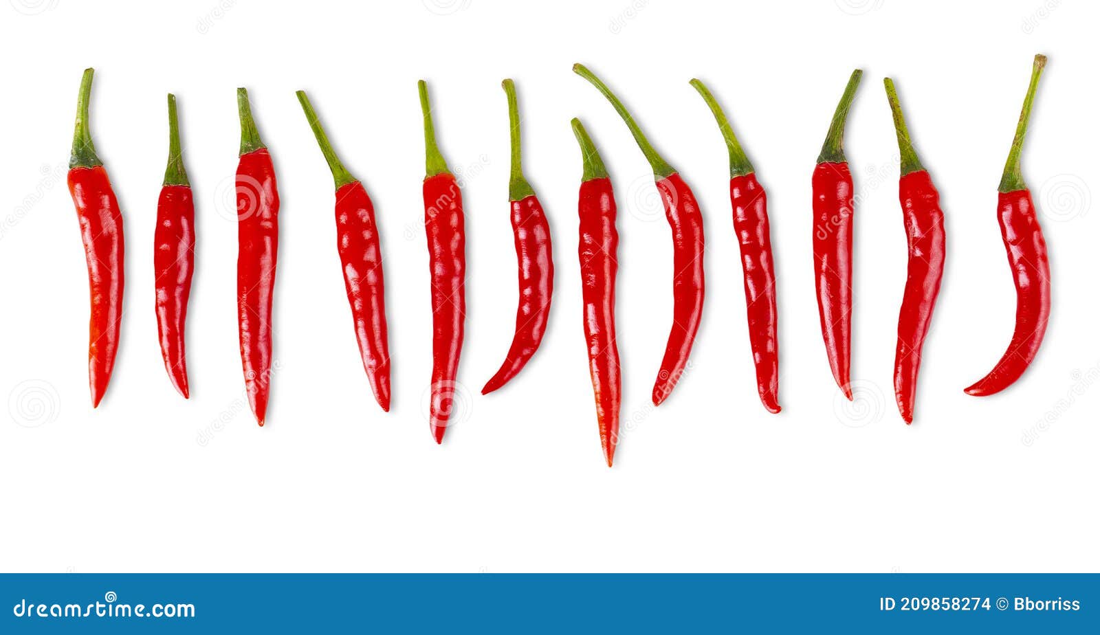 Number of Red Chili Peppers Isolated on White Stock Photo - Image of ...