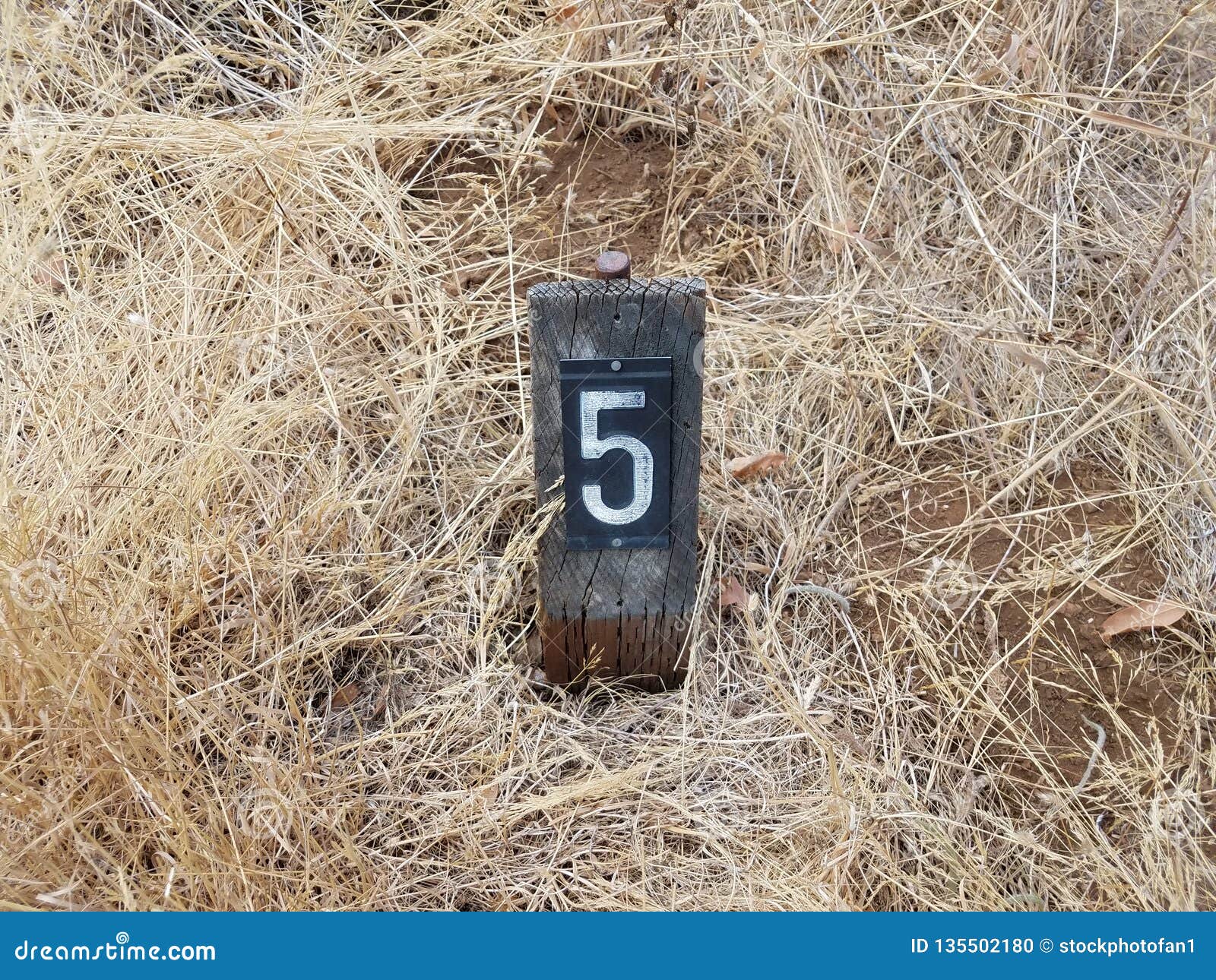Number 5 on Sign on Ground with Grasses Stock Photo - Image of marker ...