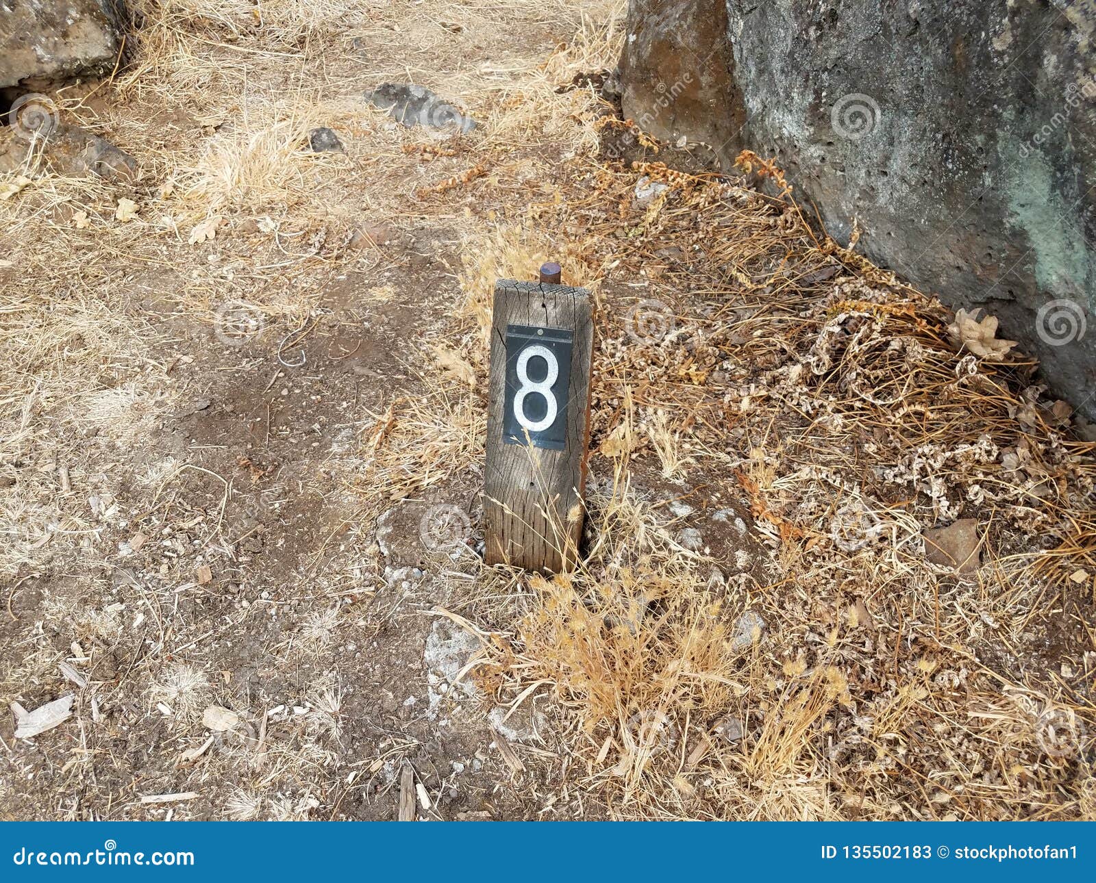 Number 8 on Sign on Ground with Grasses Stock Image - Image of sign ...