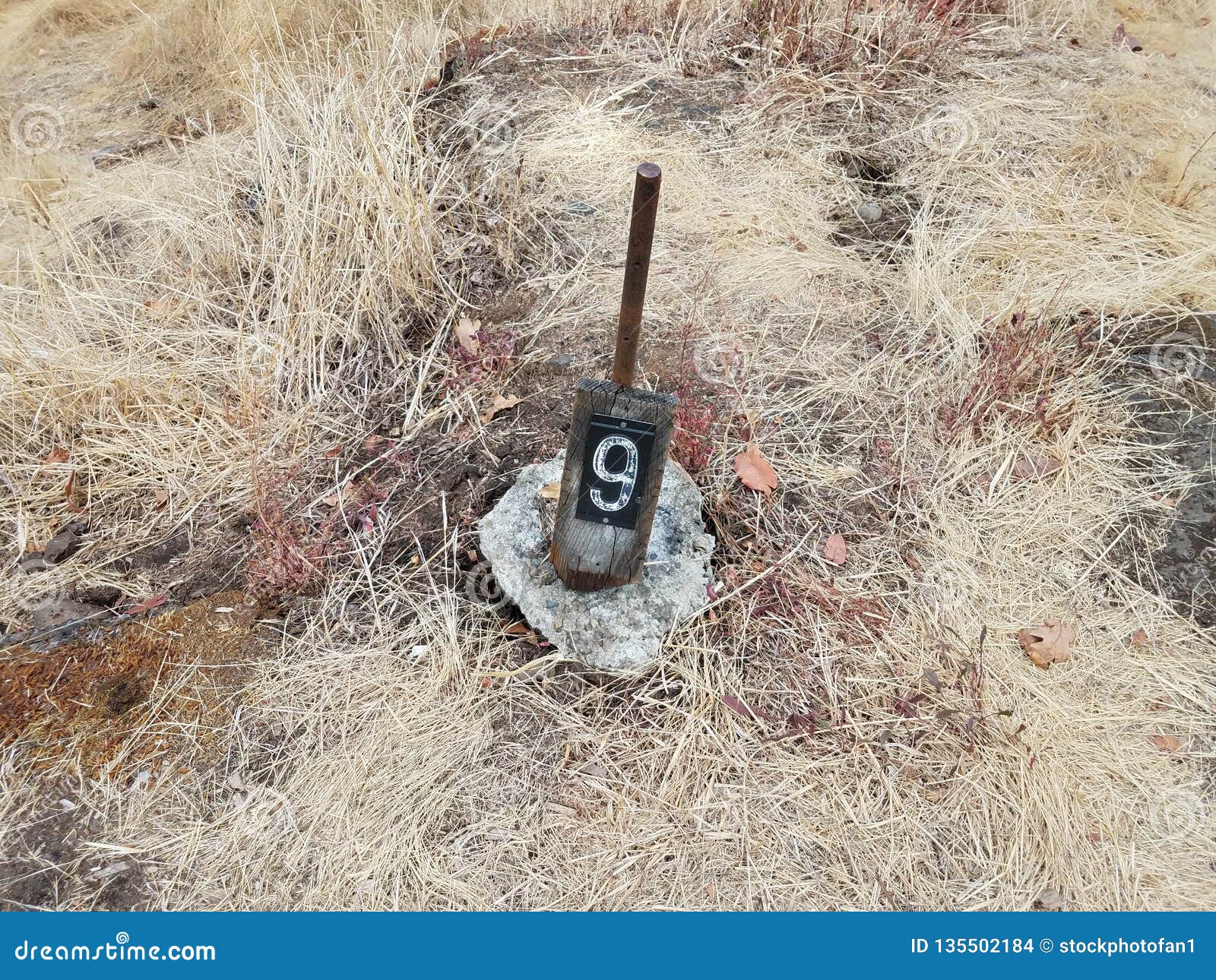 Number 9 on Sign on Ground with Grasses Stock Photo - Image of brown ...