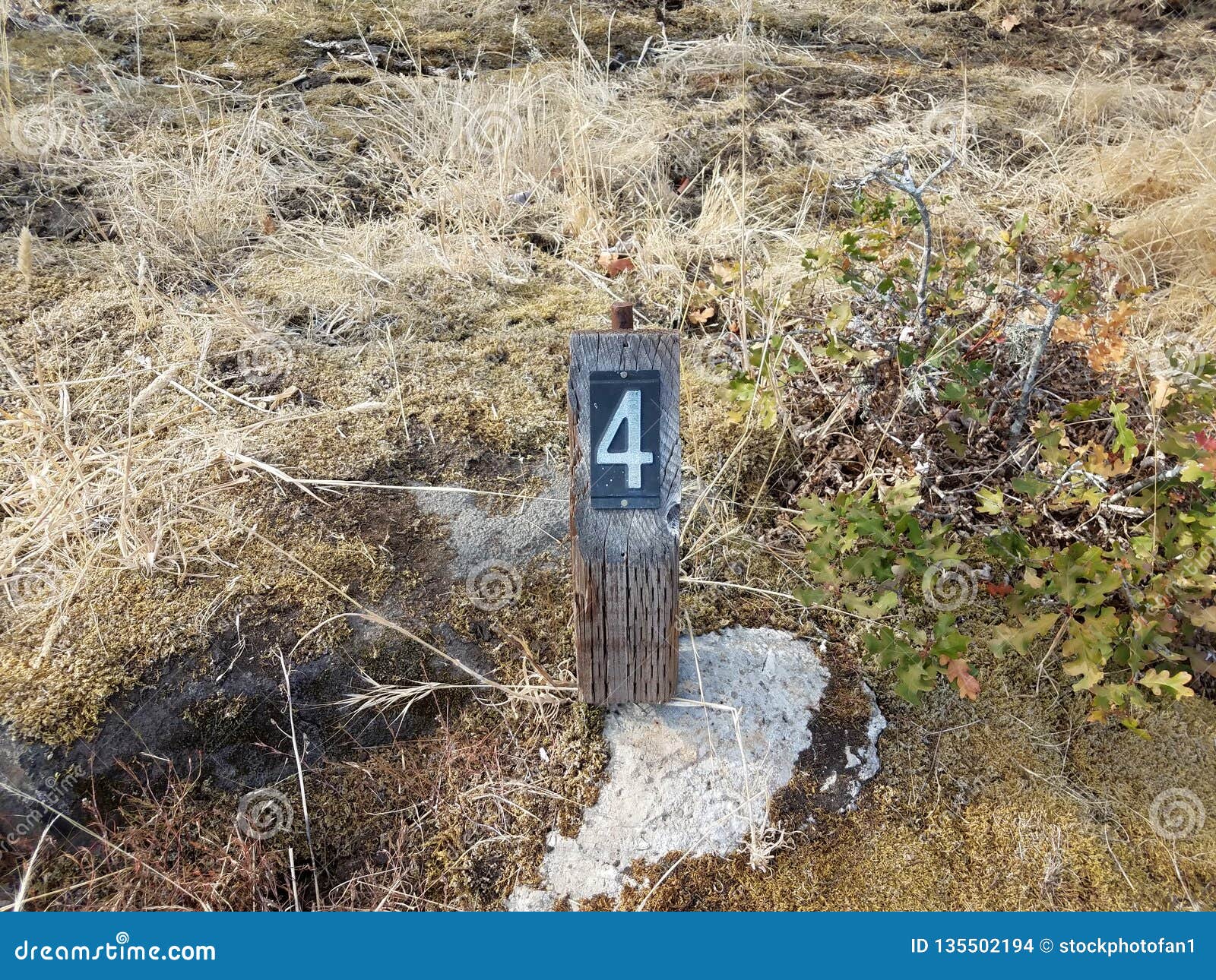 Number 4 on Sign on Ground with Grasses Stock Photo - Image of ...