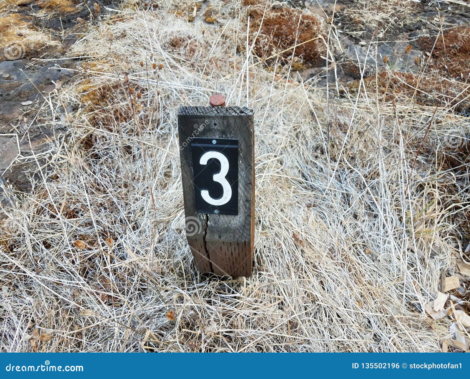 Number 3 on Sign on Ground with Grasses Stock Photo - Image of outdoor ...