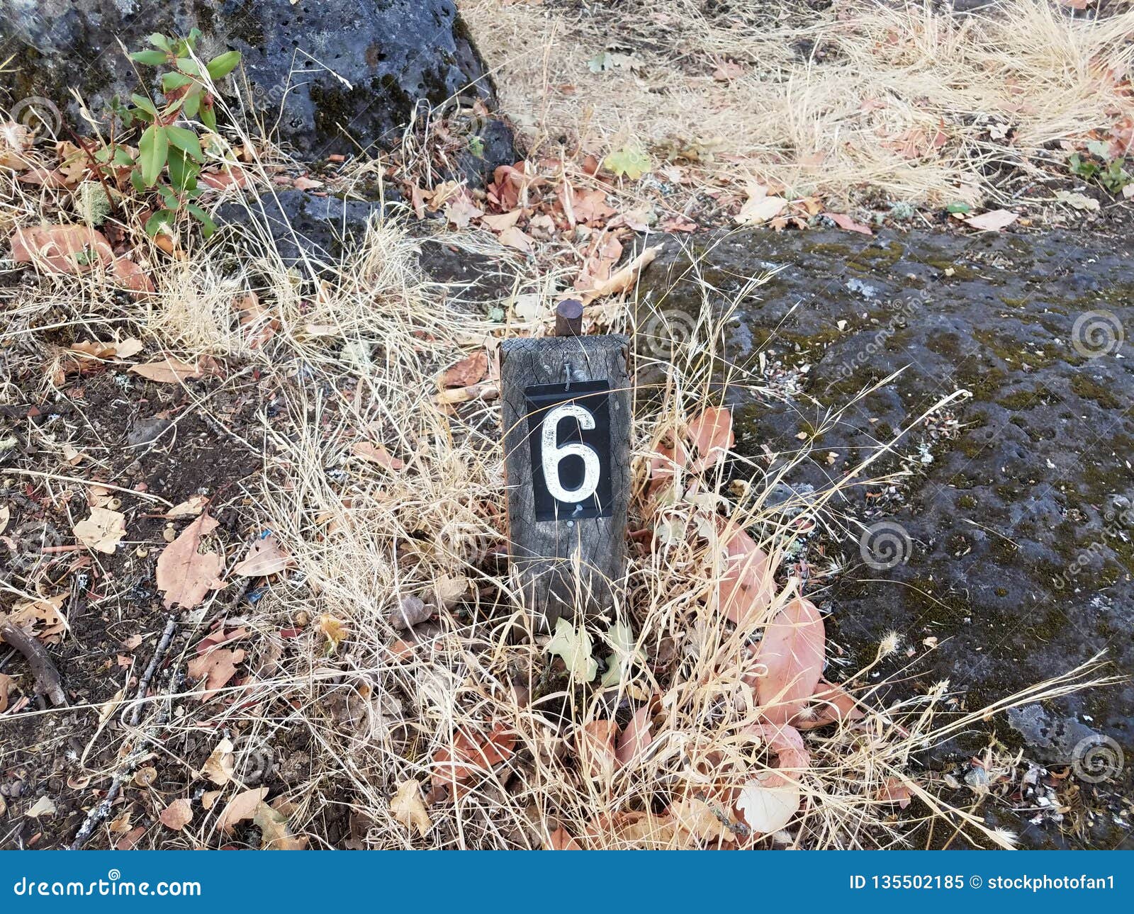 Number 6 on Sign on Ground with Grasses and Rocks Stock Image - Image ...
