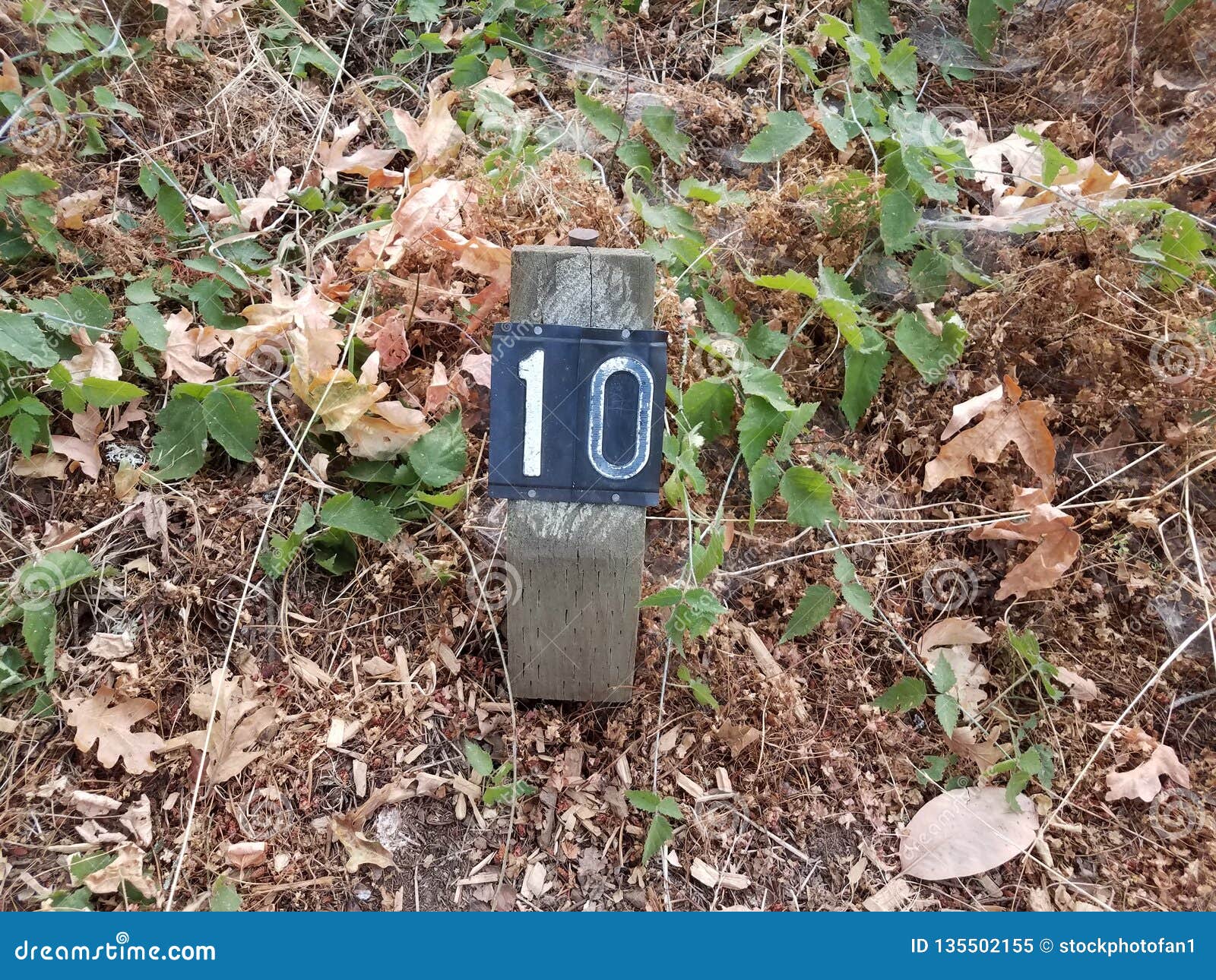 Number 10 on Sign on Ground with Leaves Stock Image - Image of leaves ...