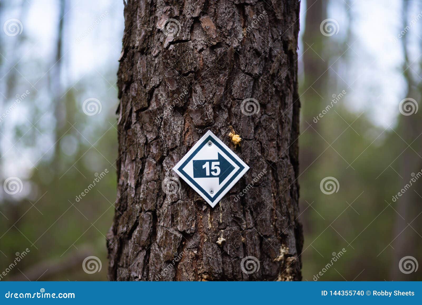 A Number 15 Sign Pointing To the Right Stock Photo - Image of number ...