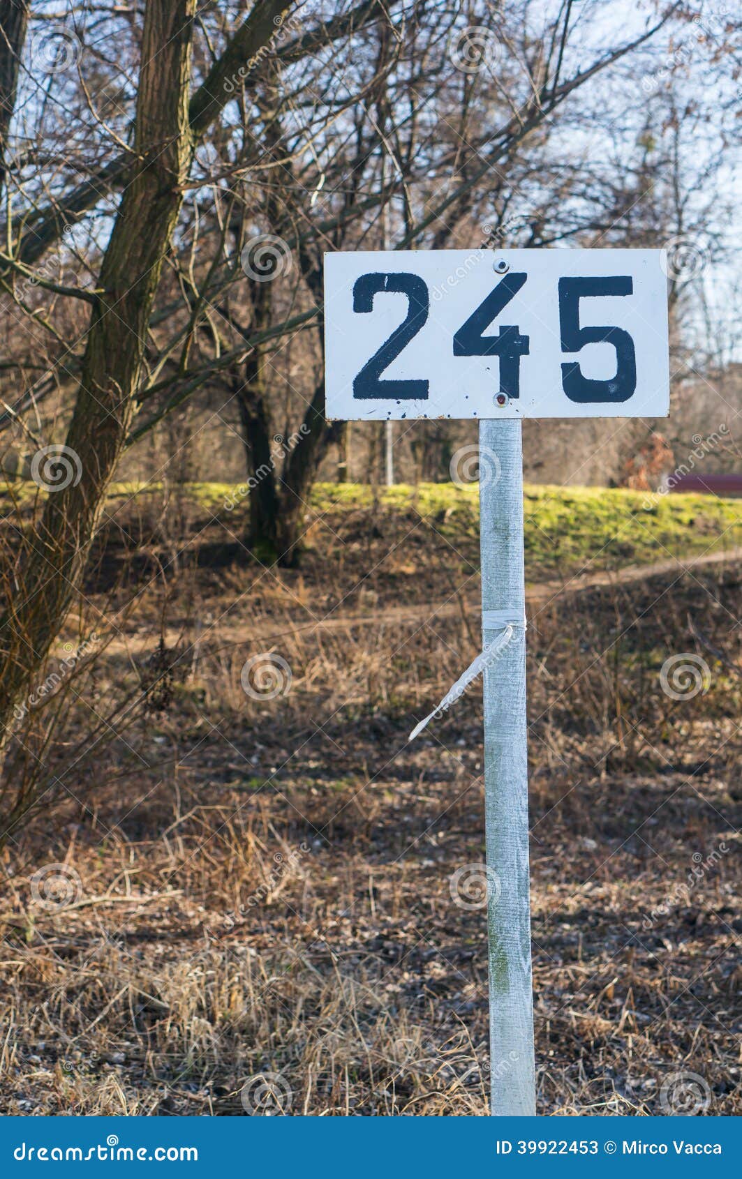Number 245 sign stock image. Image of trees, park, white - 39922453