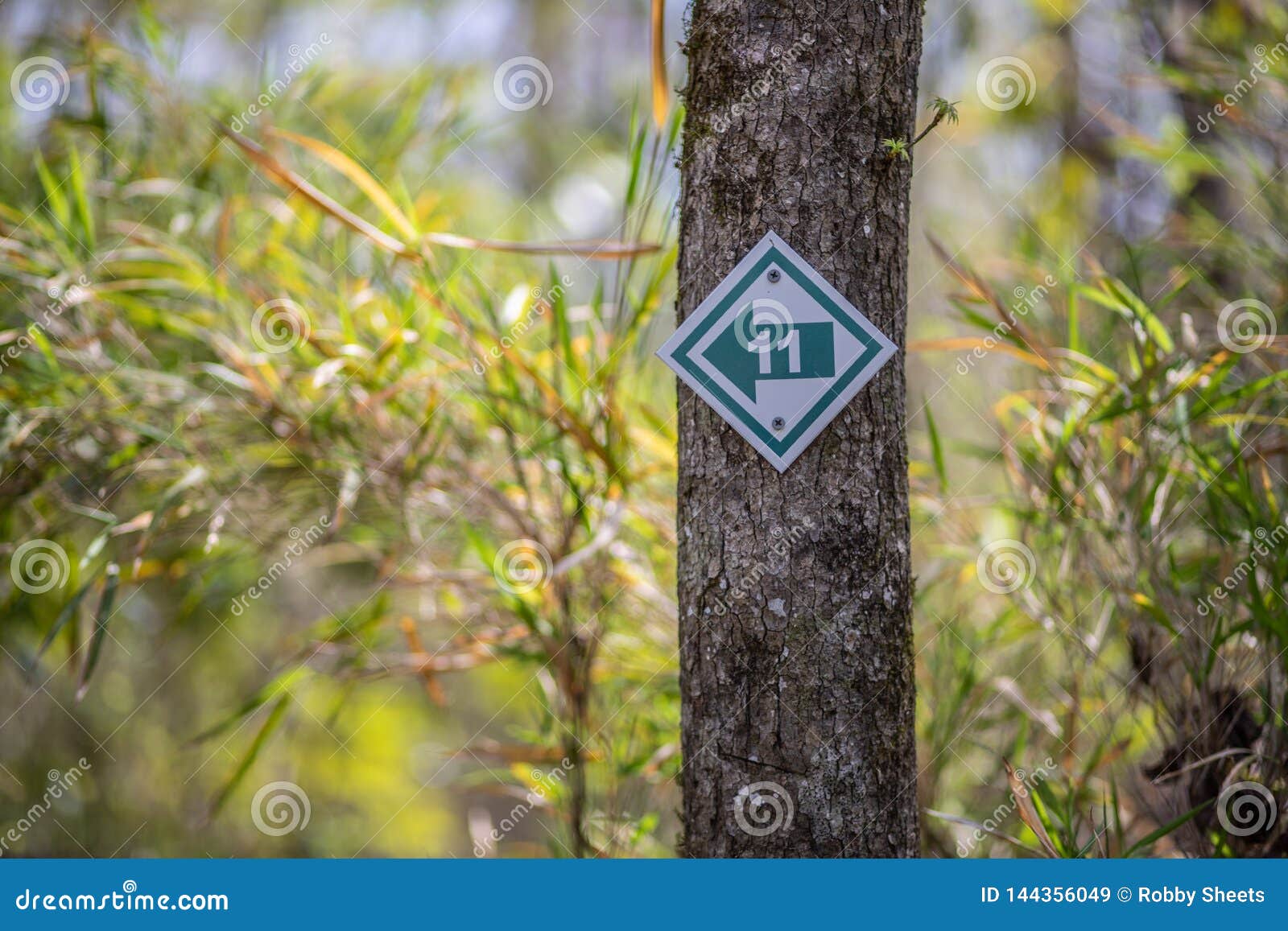 A Number 11 Sign Pointing Left Stock Image - Image of sign, left: 144356049