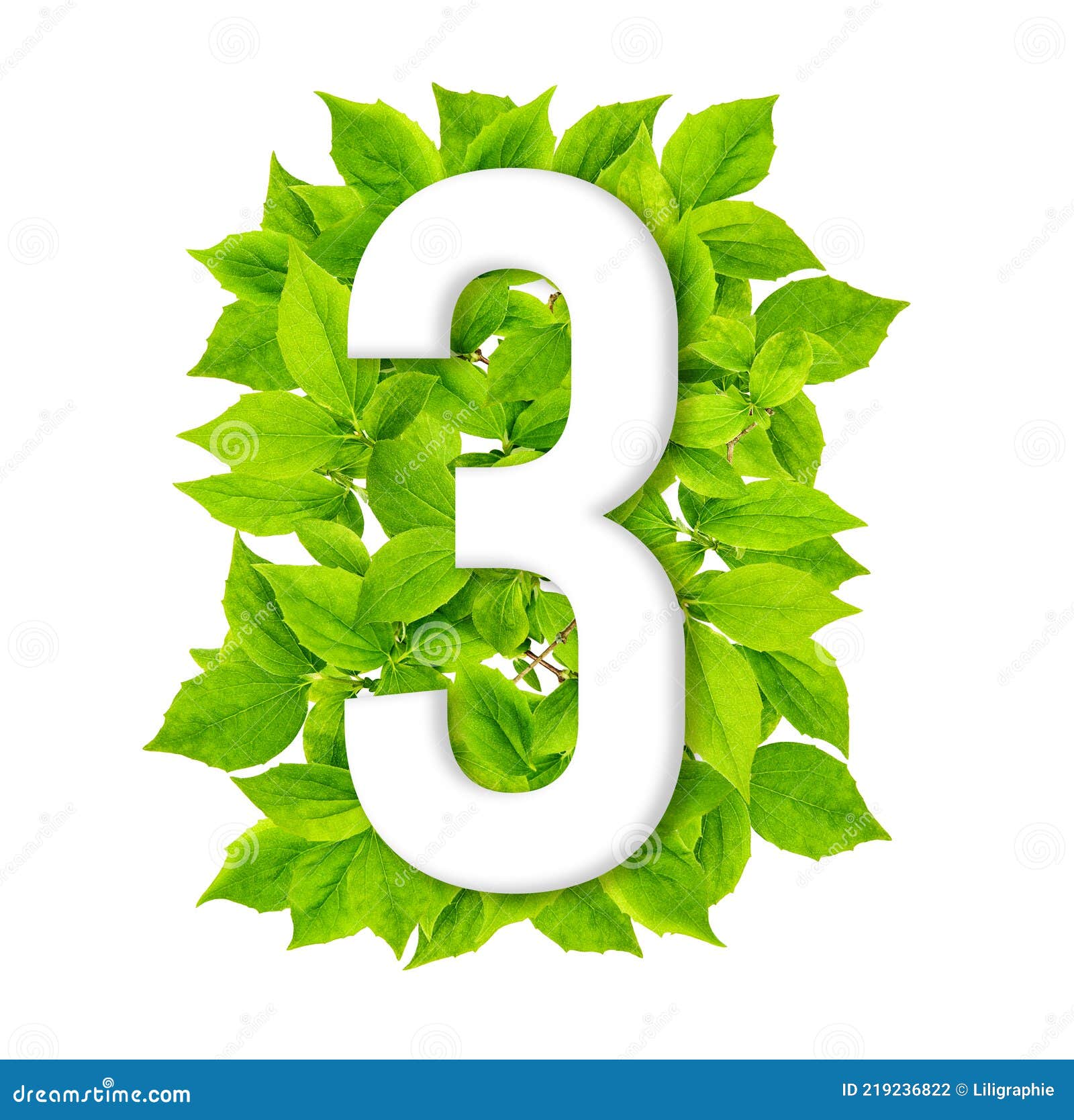 Number Three Green Leaves Background. Creative Nature Concept Stock ...
