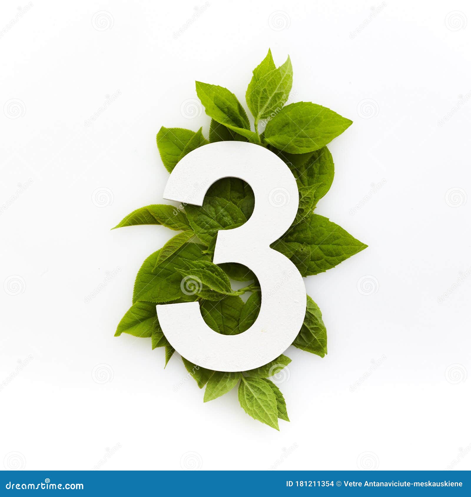 Number Three with Green Leaves. Minimal Summer Concept. Flat Lay. Stock ...