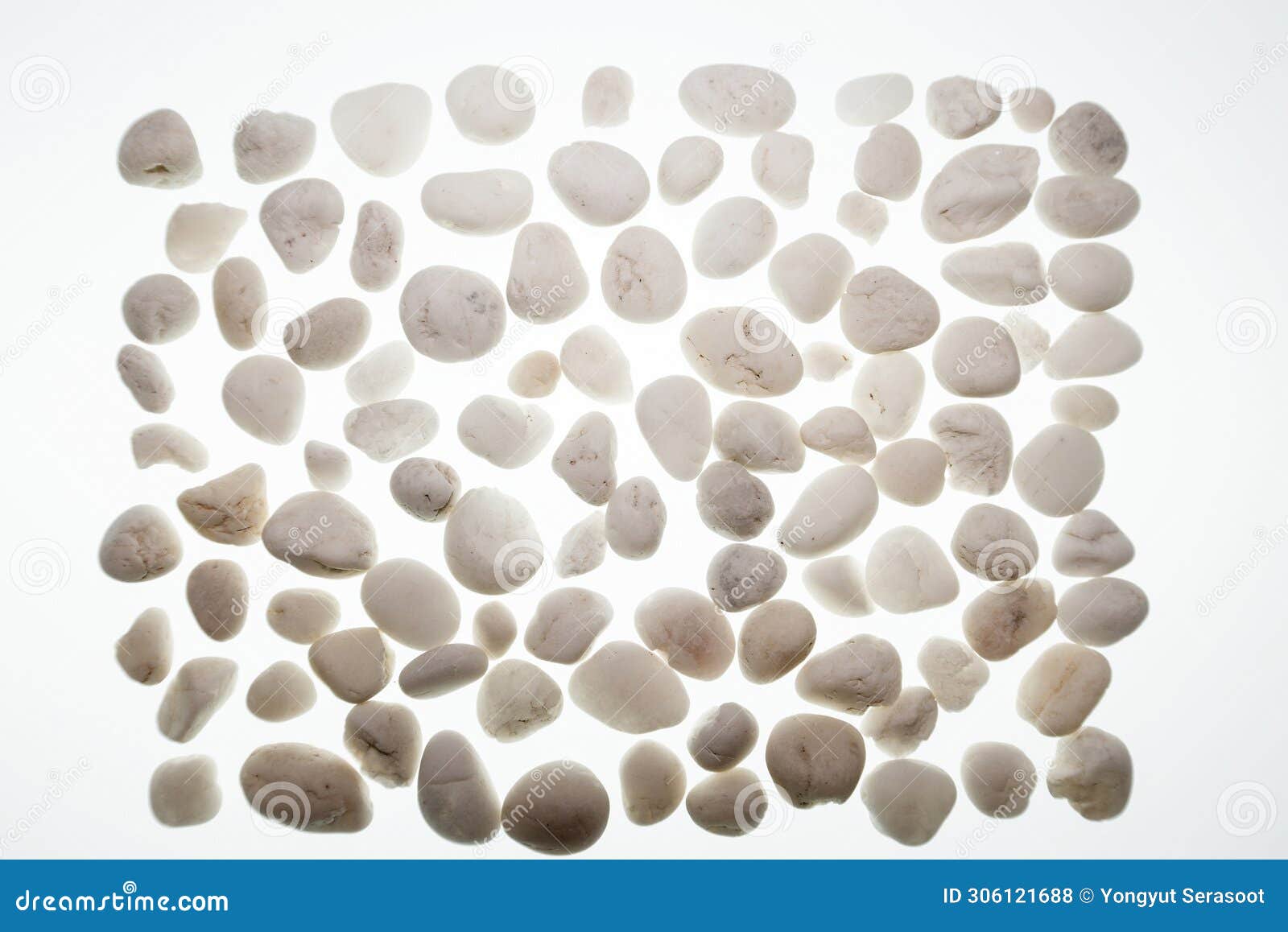 A Number of Tiny White Stones from Nature, Many Laid on White Areas ...