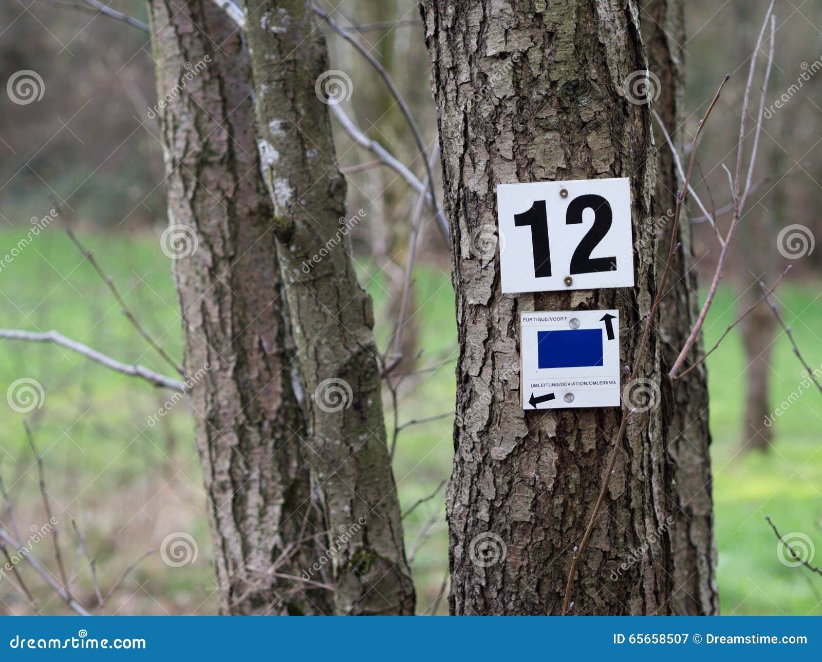 Number Twelve stock image. Image of path, tree, white - 65658507