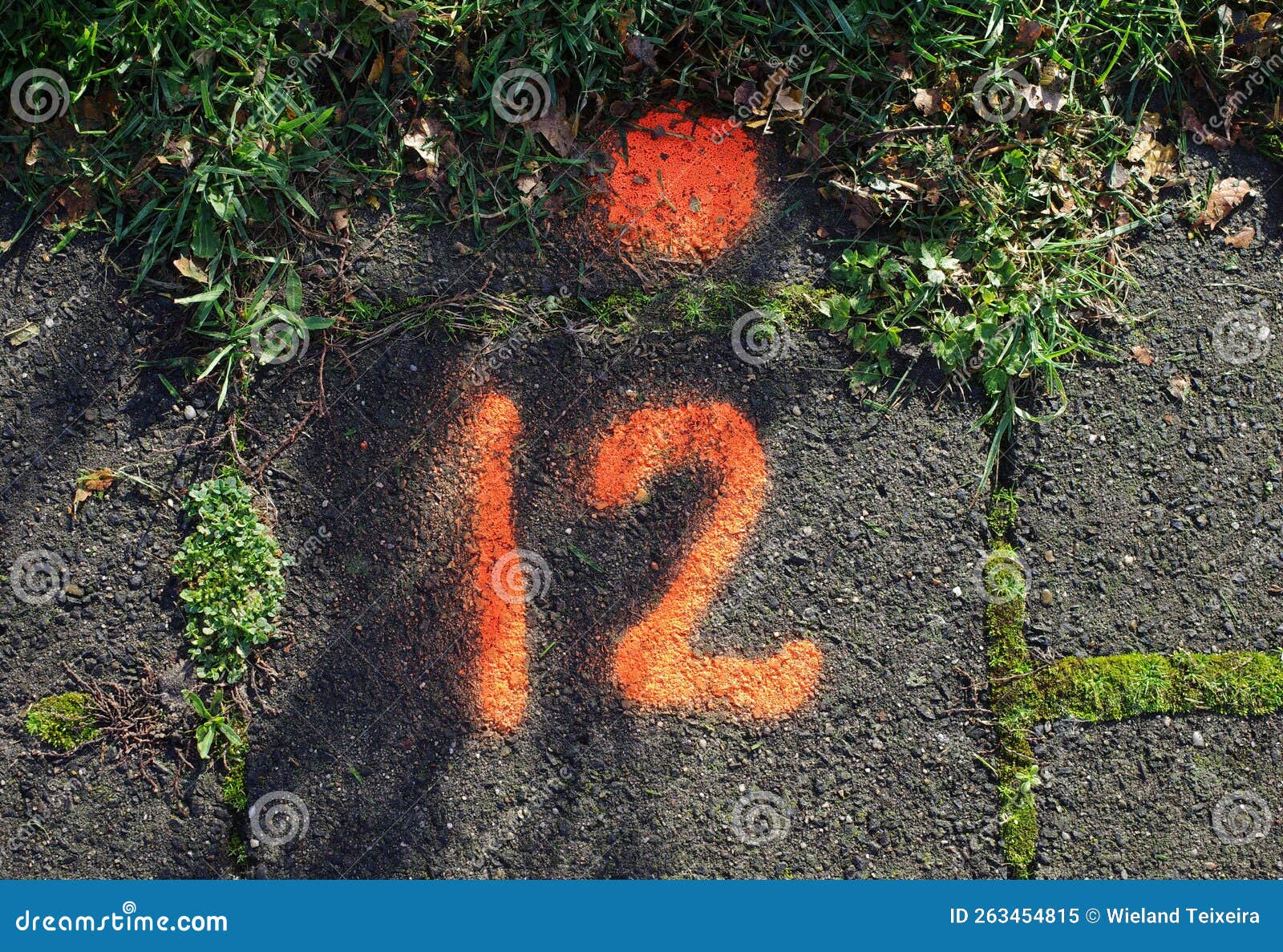 Orange 12 stock image. Image of design, surface, environment - 263454815