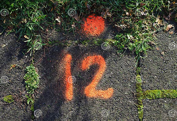 Orange 12 stock image. Image of design, surface, environment - 263454815