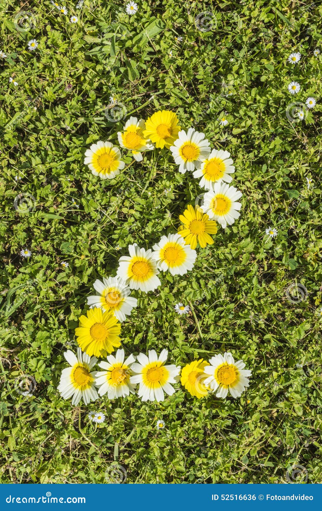 Number Two from Flower Numbers Stock Photo - Image of written, flowers ...