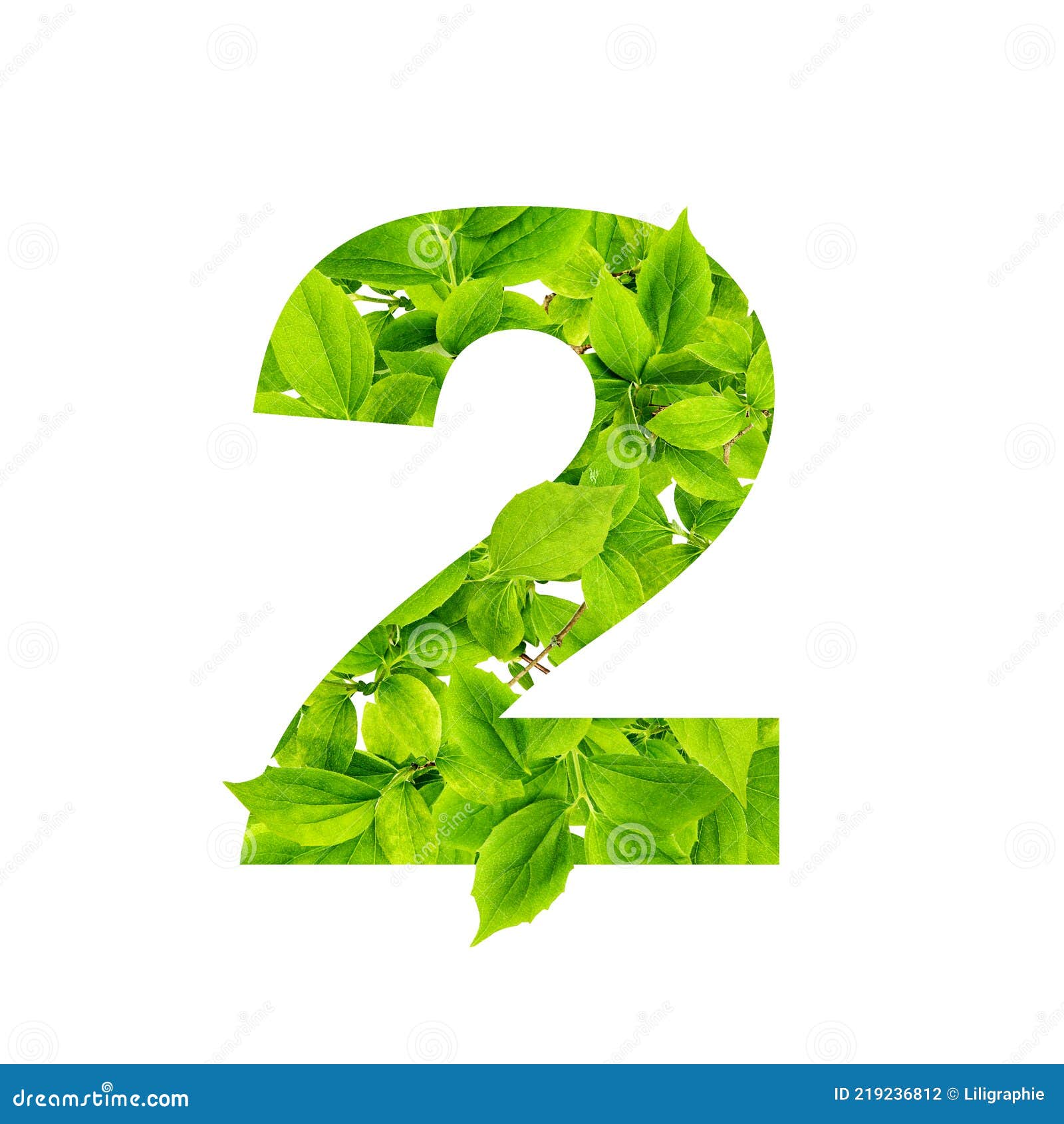Number Two Green Leaves. Creative Spring Concept Stock Photo - Image of ...