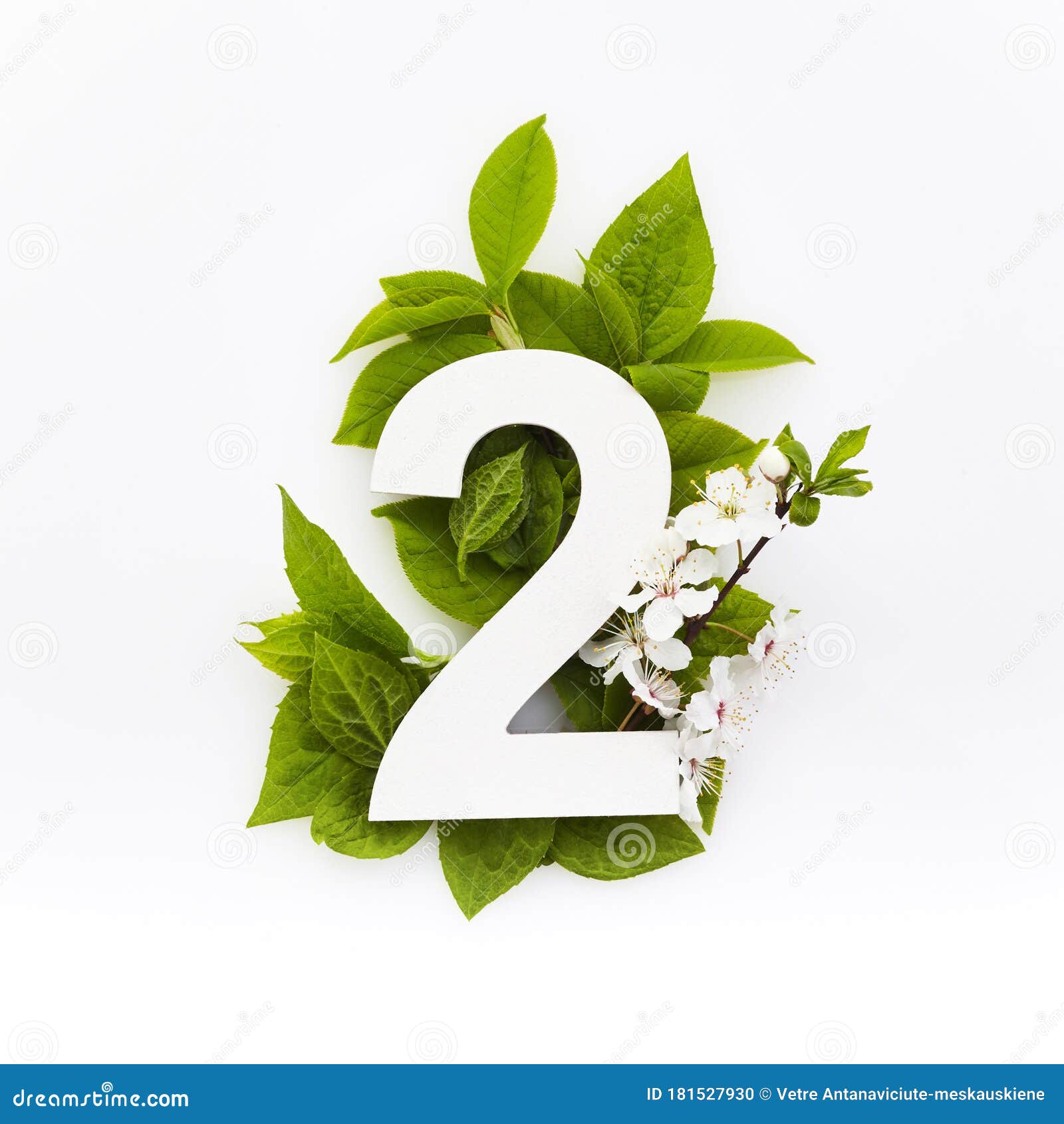 Number Two with Green Leaves. Minimal Summer Concept. Flat Lay. Stock ...