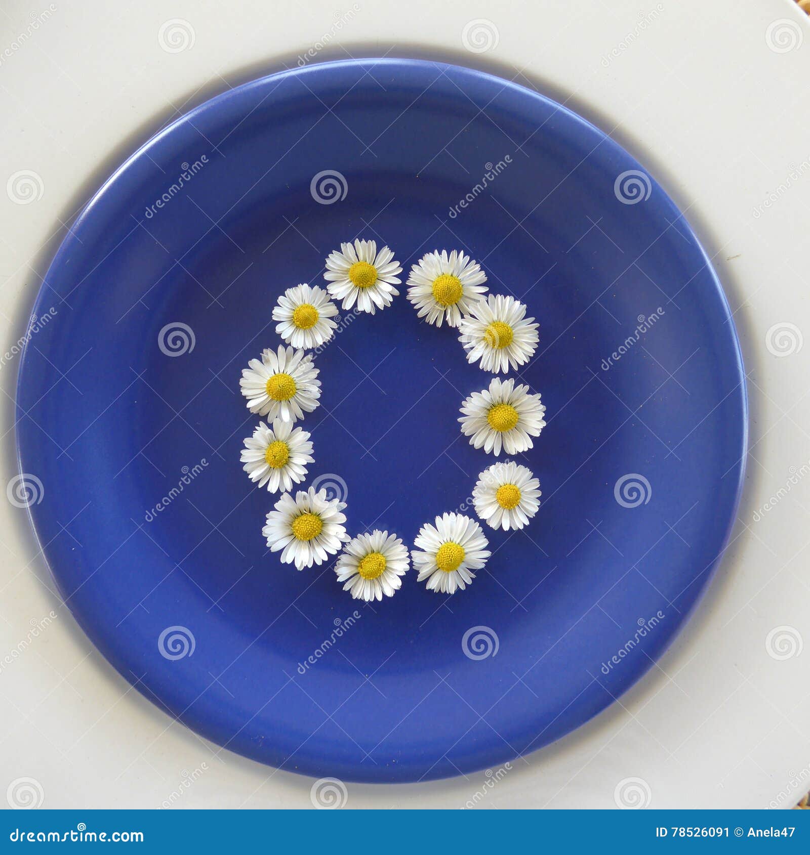 Number 0, White Flowers on Blue Background Stock Image - Image of ...