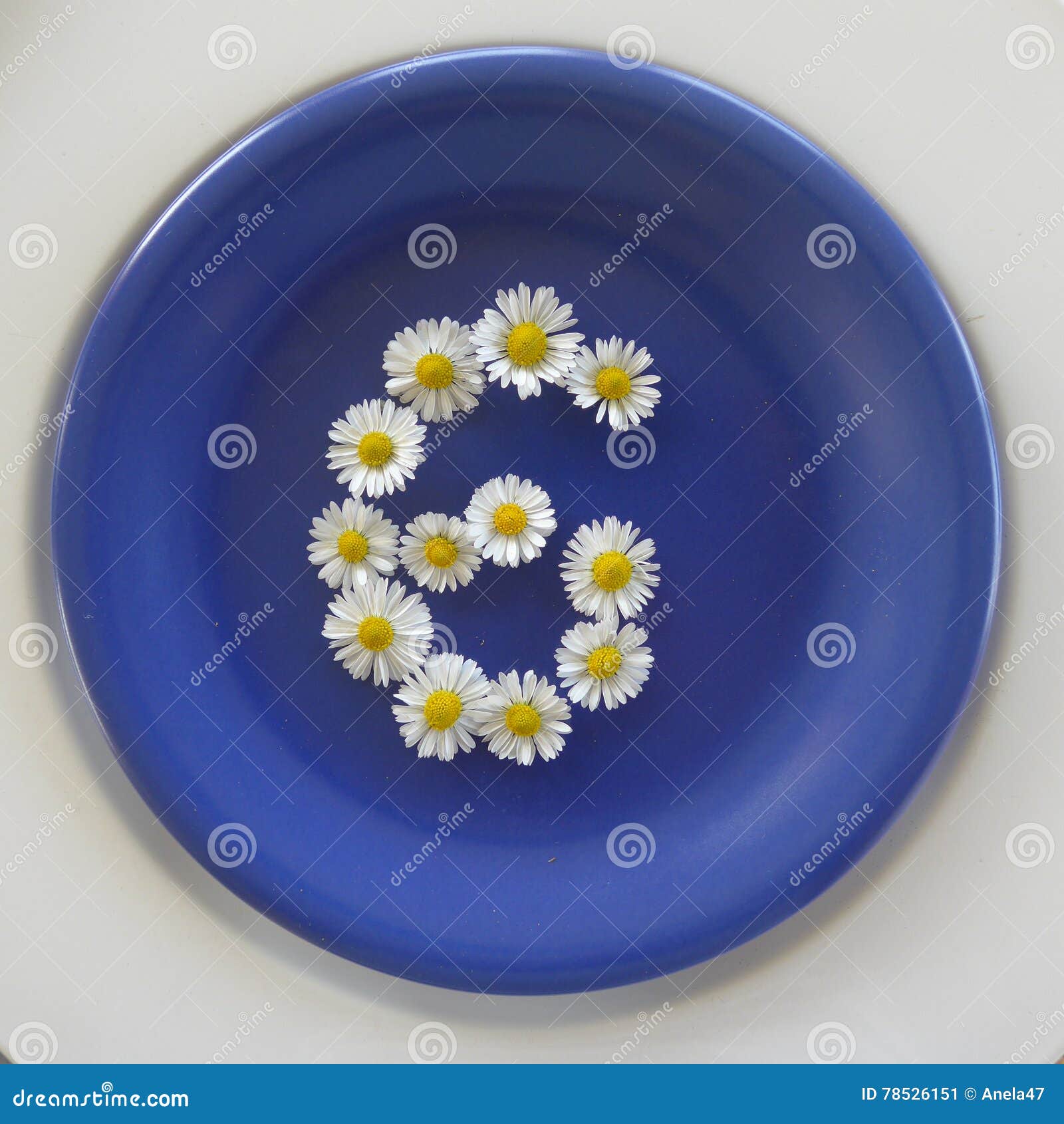 Number 6, White Flowers on Blue Background Stock Image - Image of ...