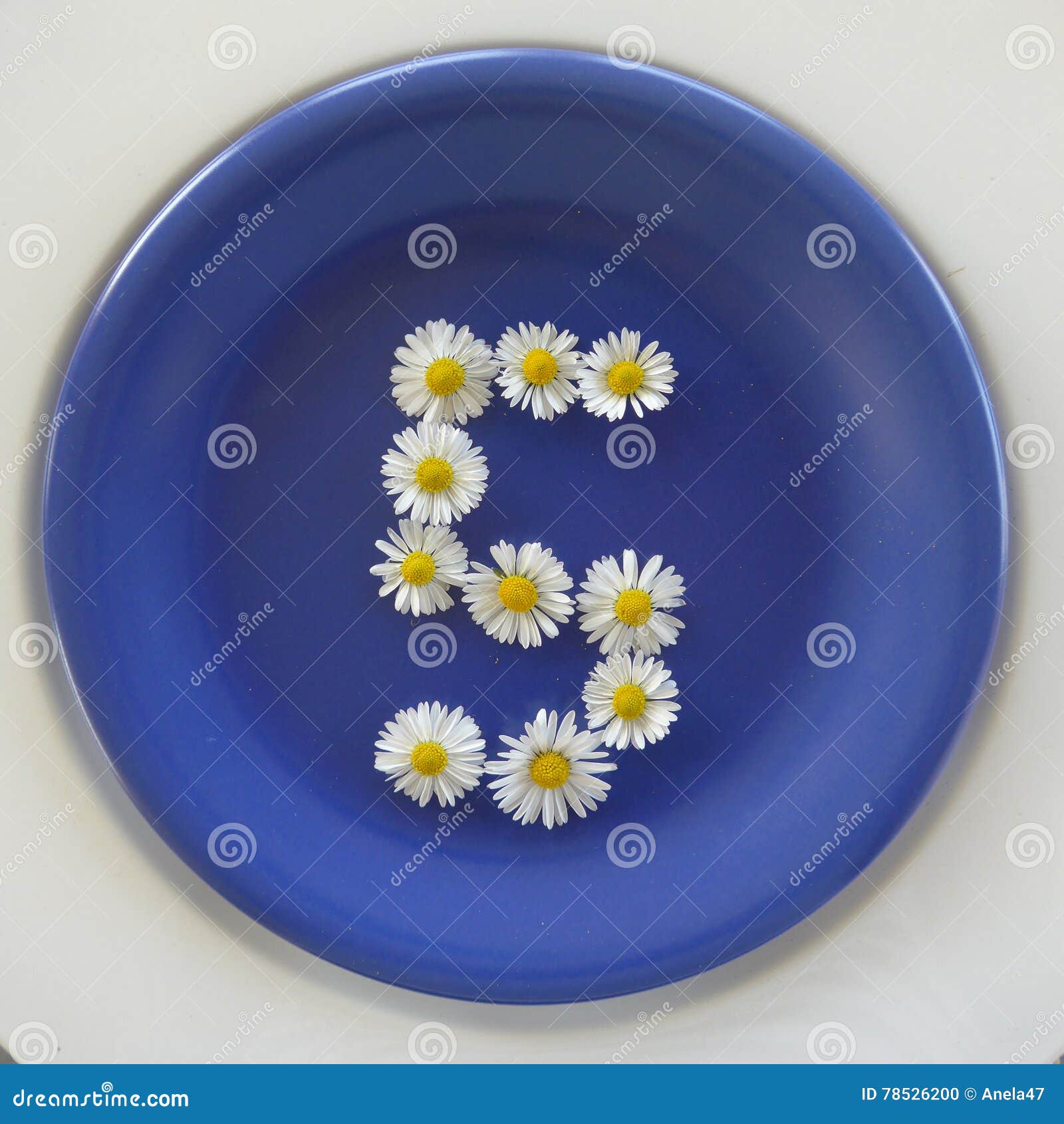 Number 5, White Flowers on Blue Background Stock Photo - Image of ...