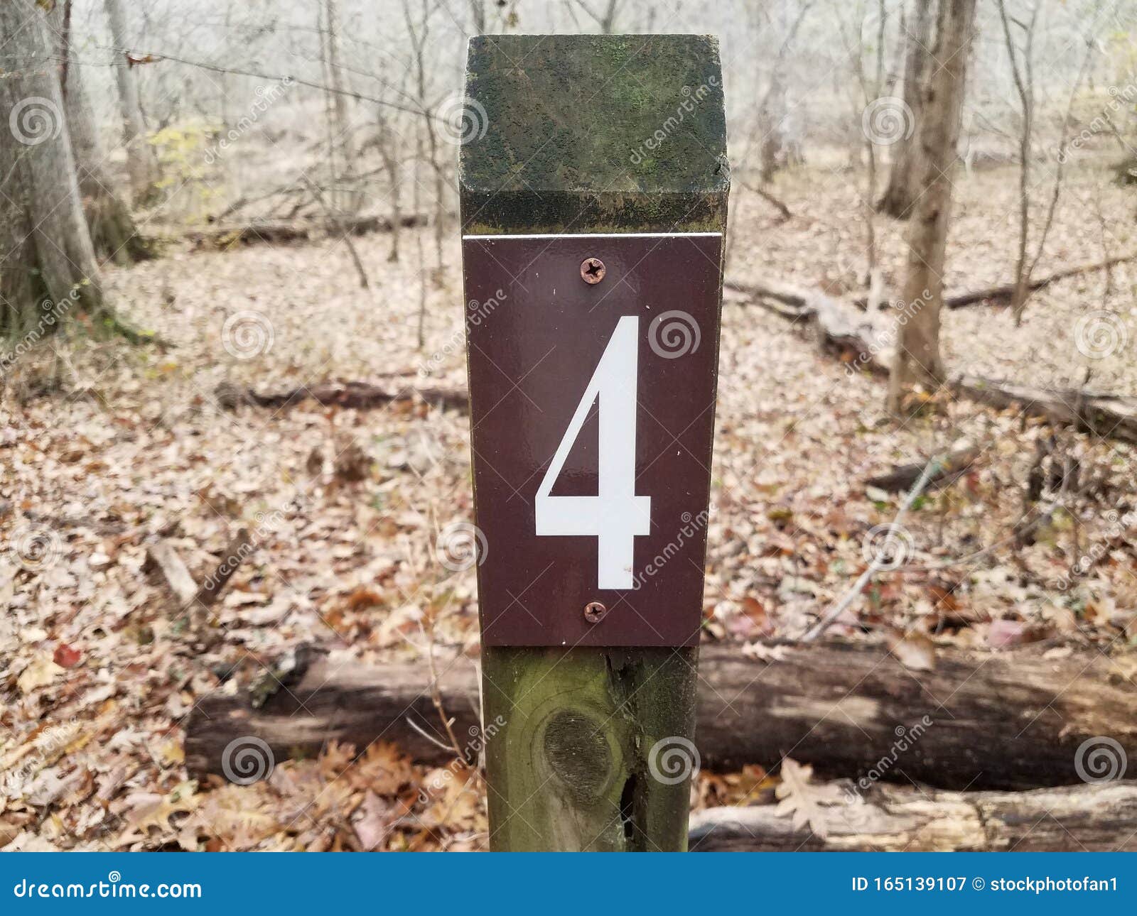 The Number 4 on Wood Post in the Forest or Woods Stock Image - Image of ...