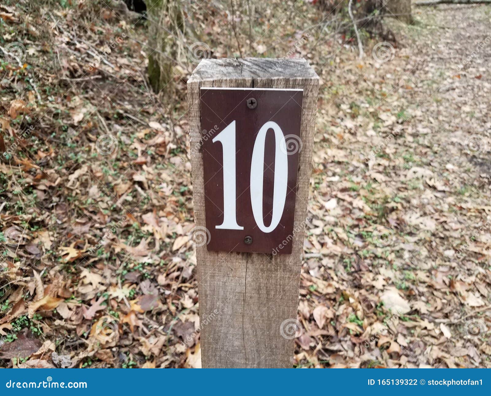 The Number 10 on Wood Post in the Forest or Woods Stock Photo - Image ...