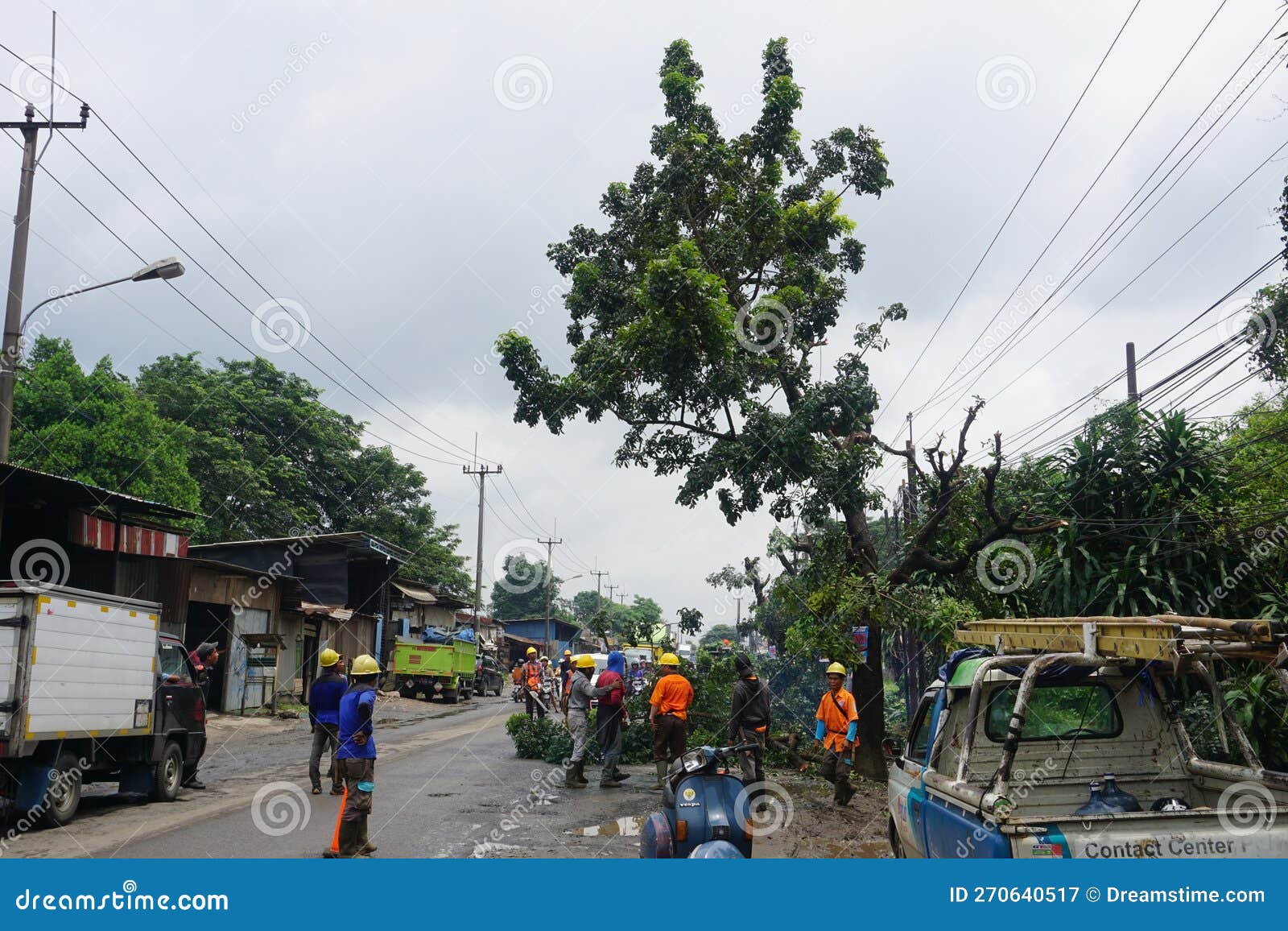 A Number of Workers Were Cutting Trees Editorial Photography - Image of ...