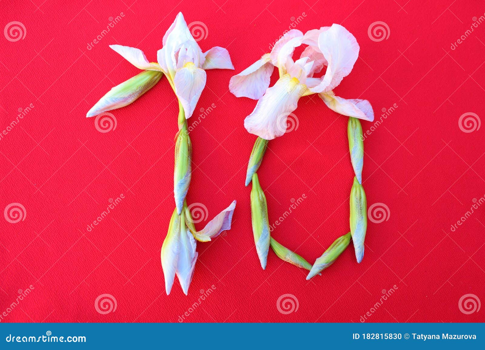 Number 10 Written by Fresh Iris Flowers on a Red Background. Number Ten ...