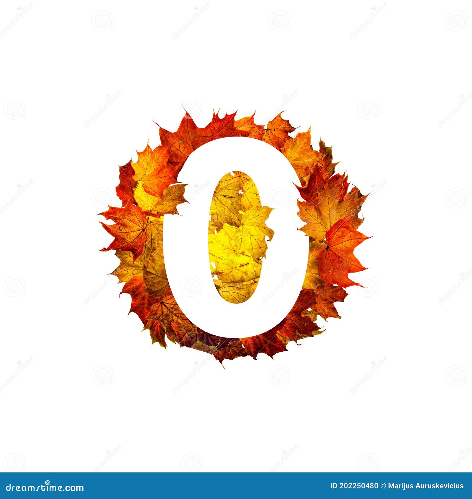 Number Zero in the Circle Frame of Colorful Autumn Maple Leaves ...