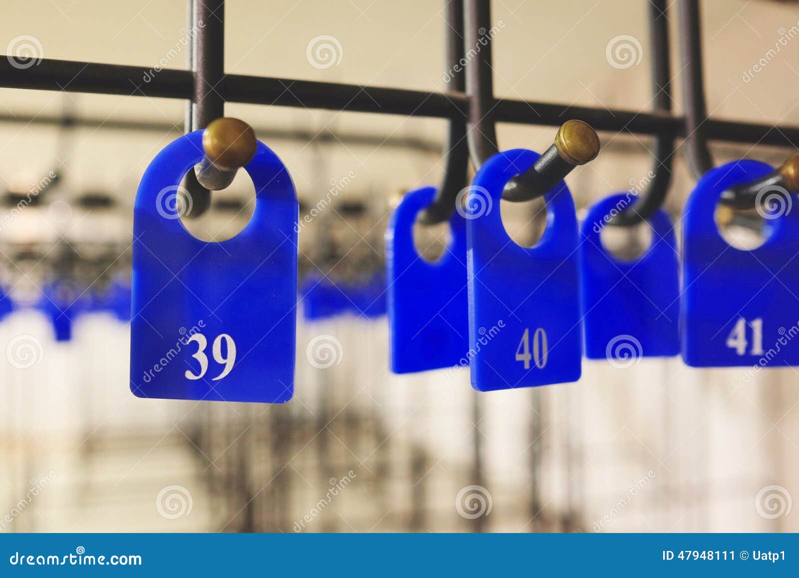Numbered labels stock image. Image of plastic, museum - 47948111