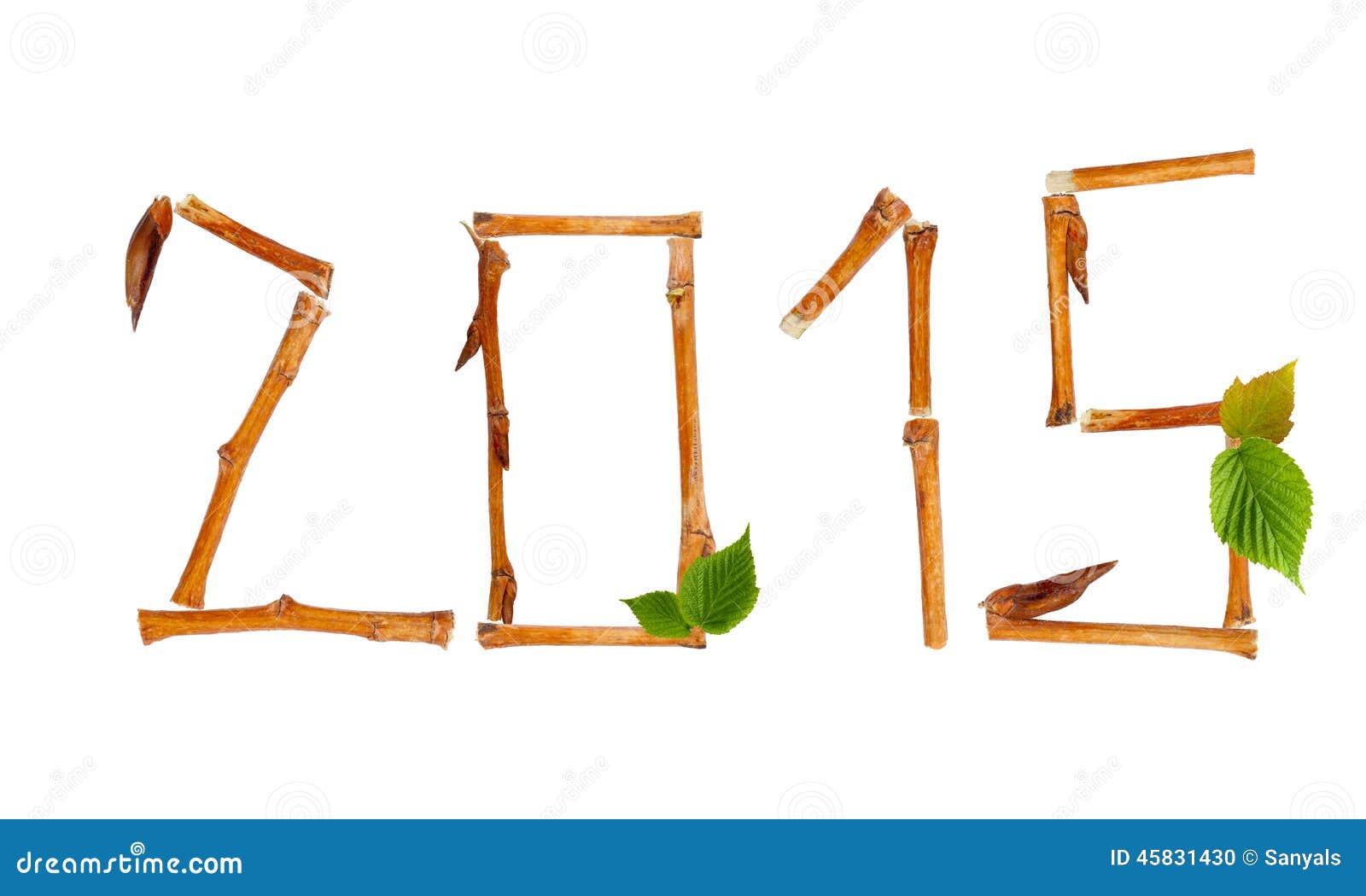 Numbers from the Dry Branches Stock Photo - Image of grow, leaf: 45831430