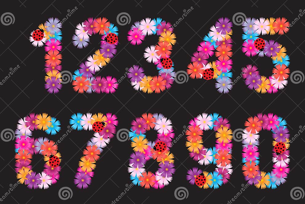 Numbers of flowers. a set. stock vector. Illustration of plant - 40372034