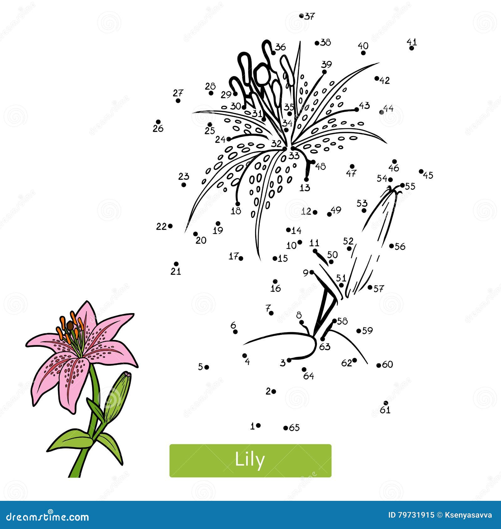 Numbers Game for Children, Flower Lily Stock Vector - Illustration of ...