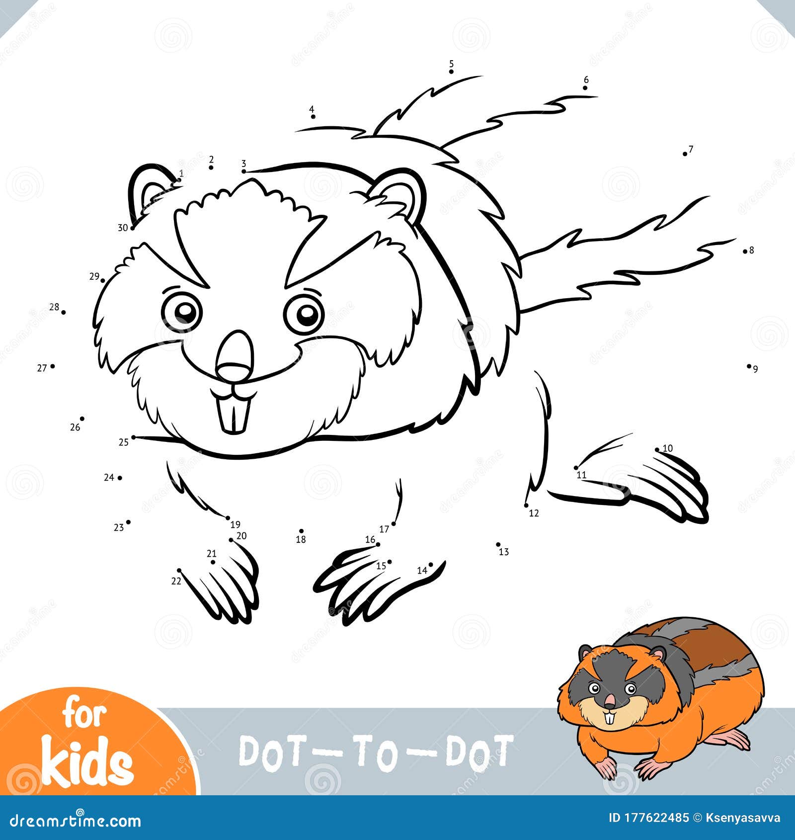 Norway Lemming Or Norwegian Lemming, Vintage Engraving Vector ...