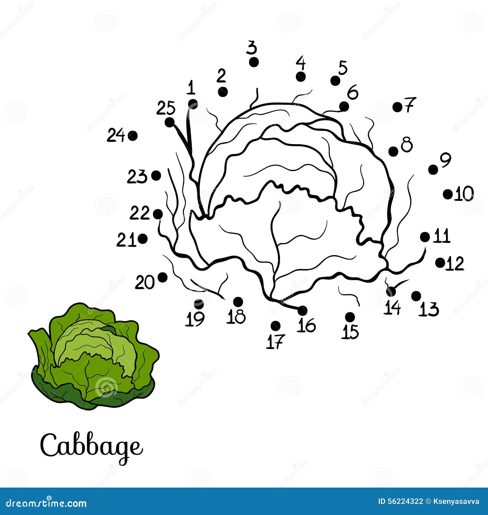 Numbers Game: Fruits and Vegetables (cabbage) Stock Vector ...