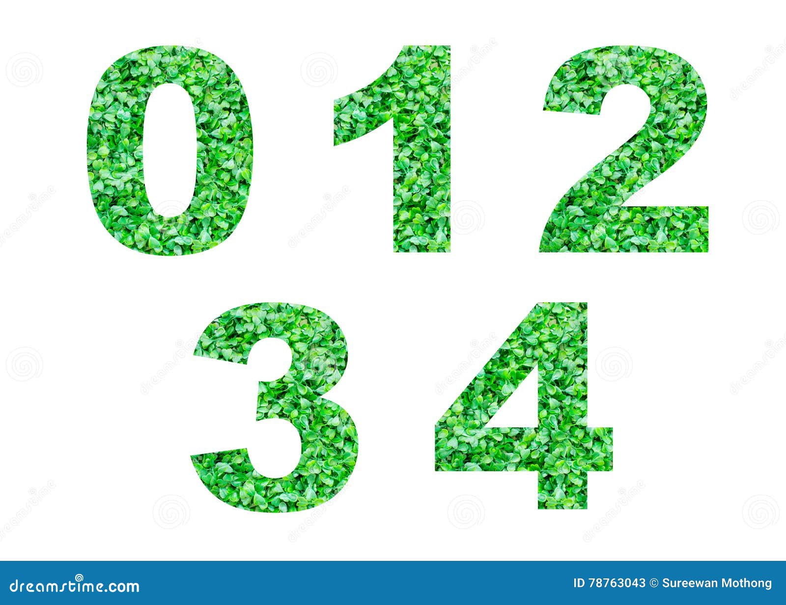 Numbers 0,1,2,3,4 of Green Grass Isolated on White Stock Illustration ...