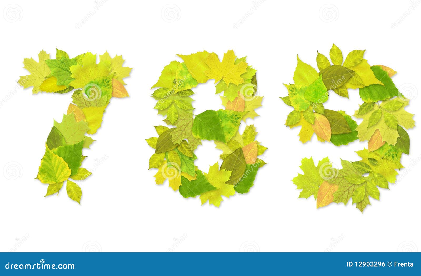 Numbers with a Green Leaves Stock Illustration - Illustration of maple ...