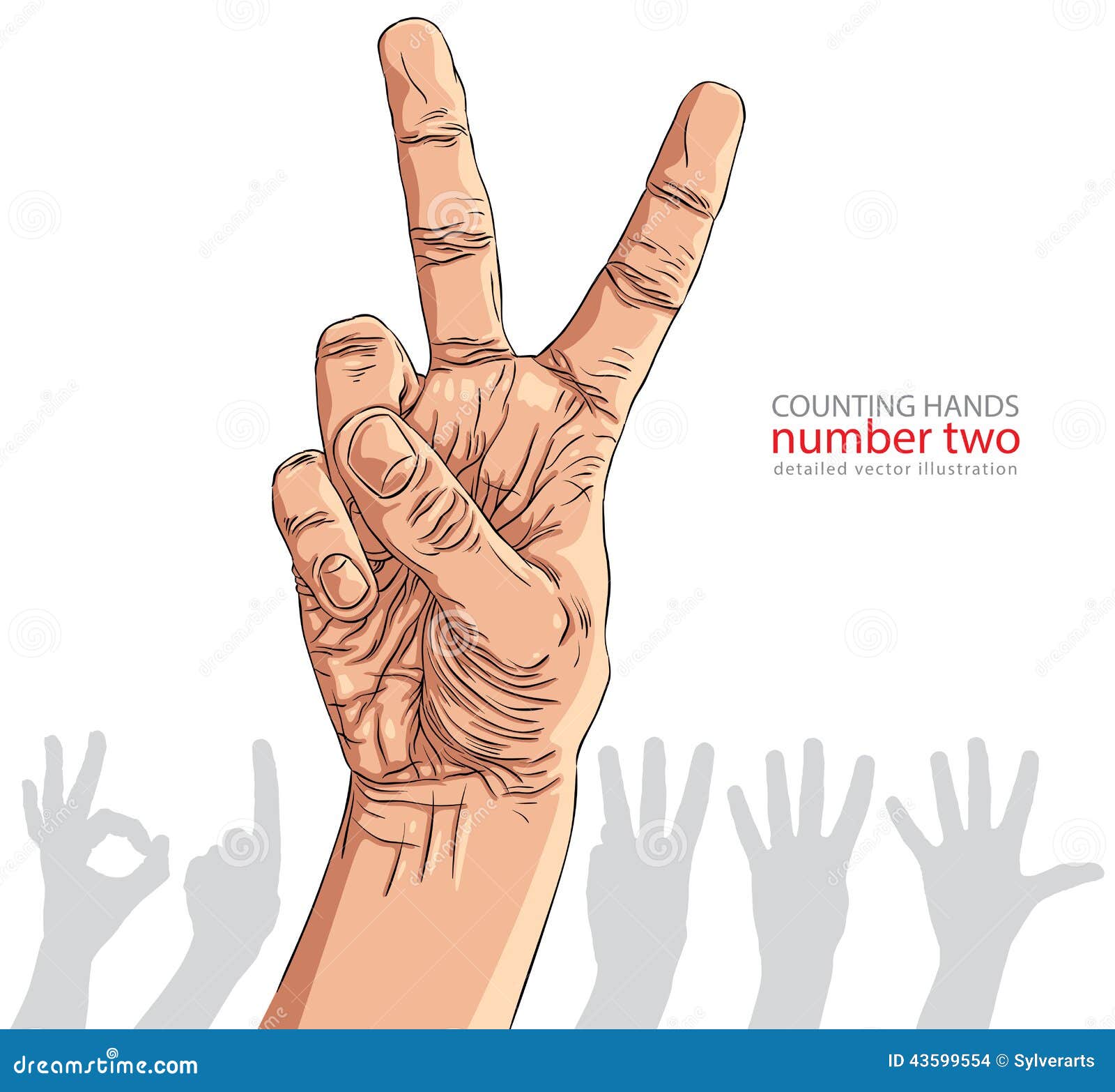 Numbers Hand Signs Set, Number Two, Detailed Vector Illustration Stock ...