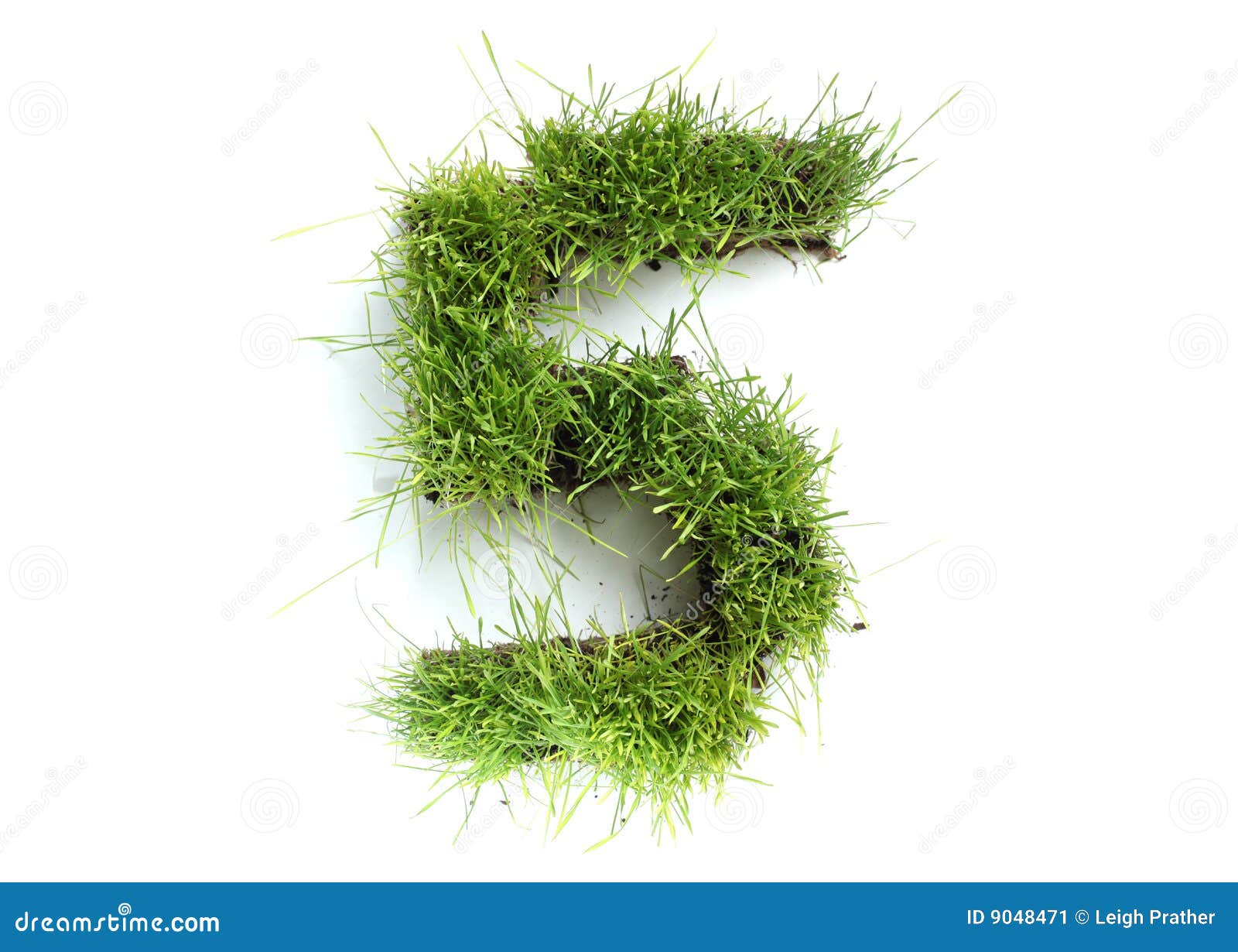 Numbers made of grass stock image. Image of earth, organic - 9048471
