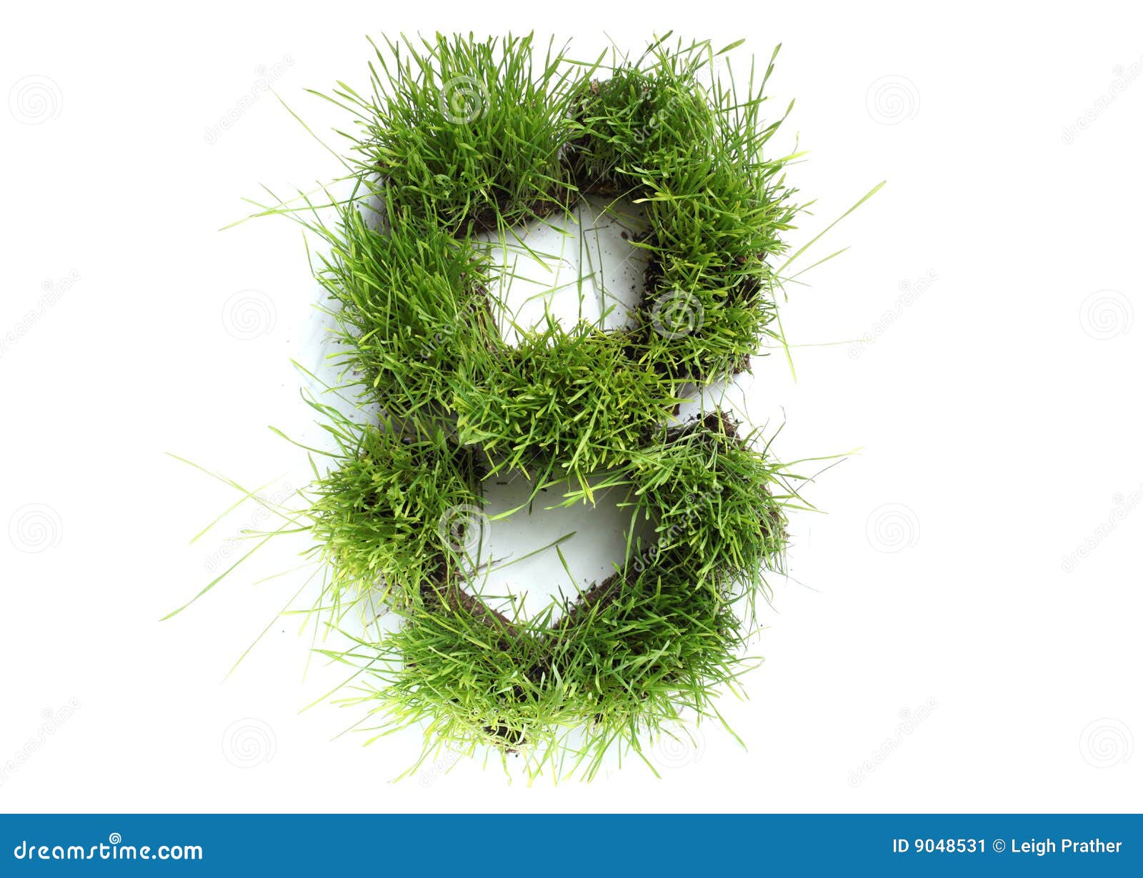 Numbers made of grass stock image. Image of natural, letter - 9048531