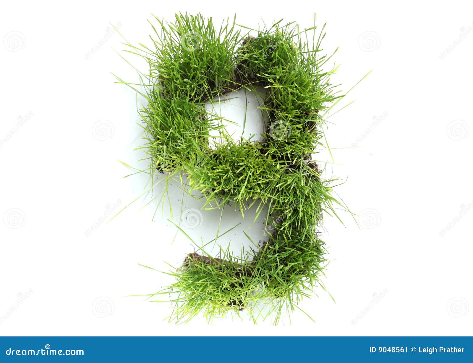 Numbers made of grass stock image. Image of environment - 9048561