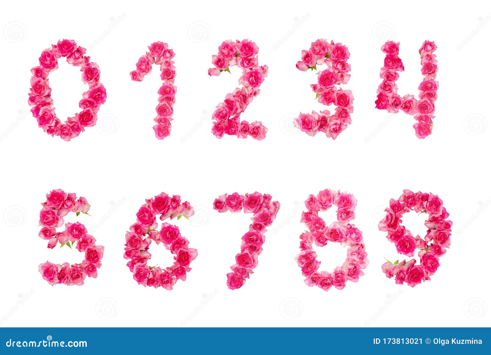 Numbers 0-9 of Pink Roses on a White Isolated Background. Element for ...