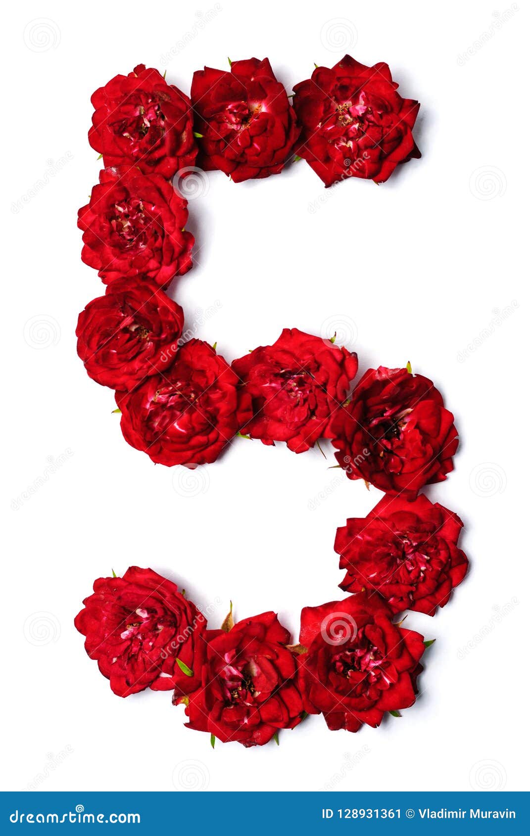 The Numbers of Red Buds of Roses Flowers Stock Image - Image of rose ...